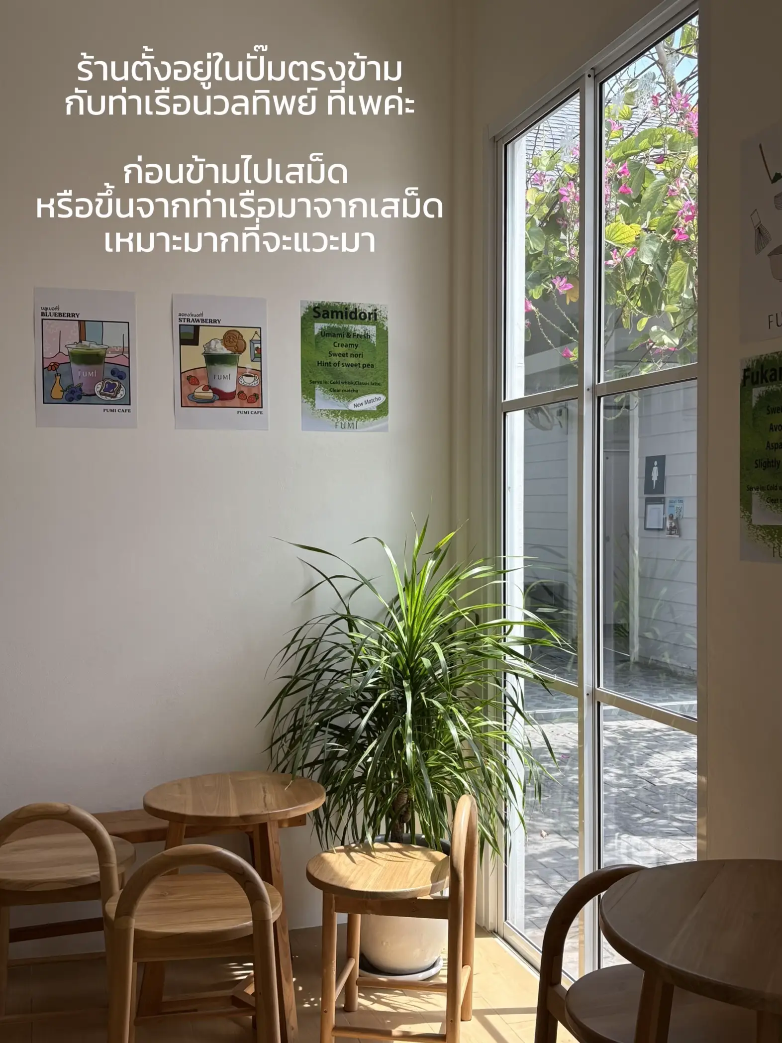 คาเฟ่มัทฉะดีๆที่ระยอง FUMI House Cafe | แกลเลอรีที่โพสต์โดย aomce | Lemon8