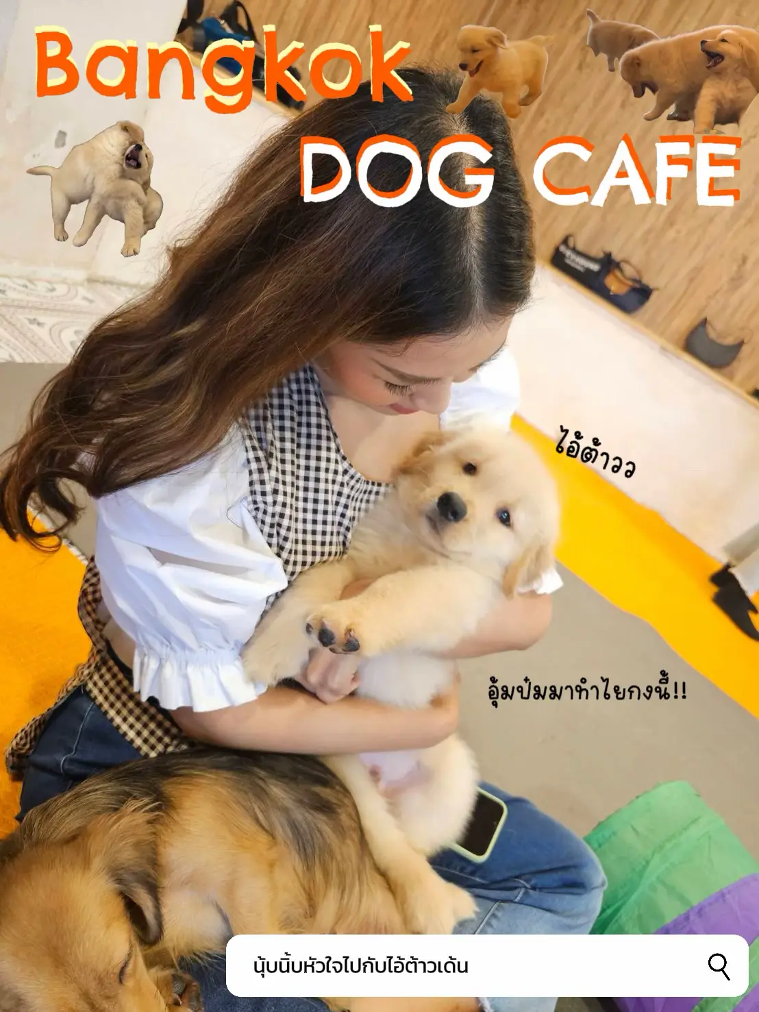 Dog Cafe Bangkok at Michele Bodden blog