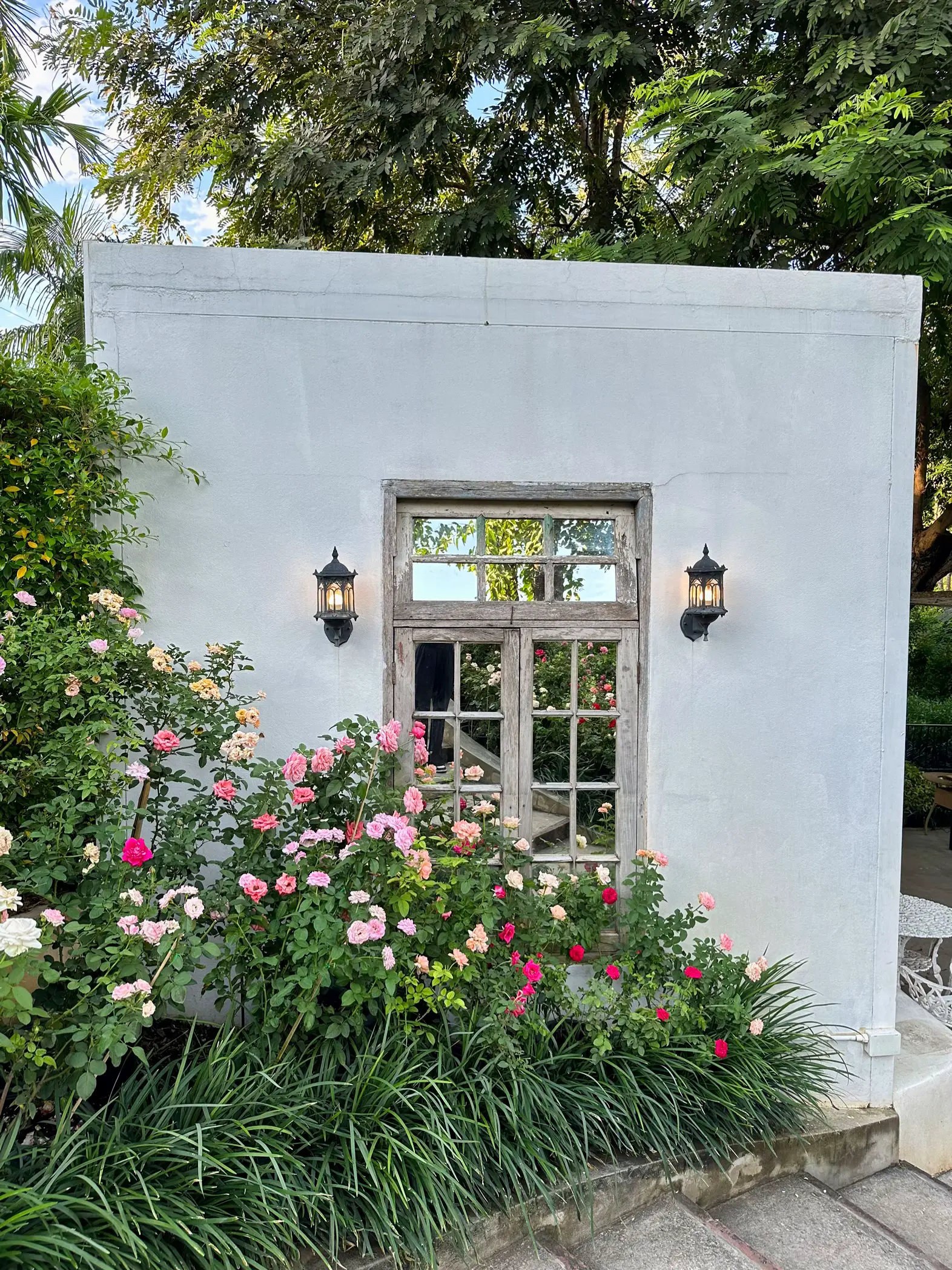 Fleur Cafe & Eatery 💐คาเฟ่ดอกกุหลาบย่านแม่ริม | แกลเลอรีที่โพสต์โดย ...