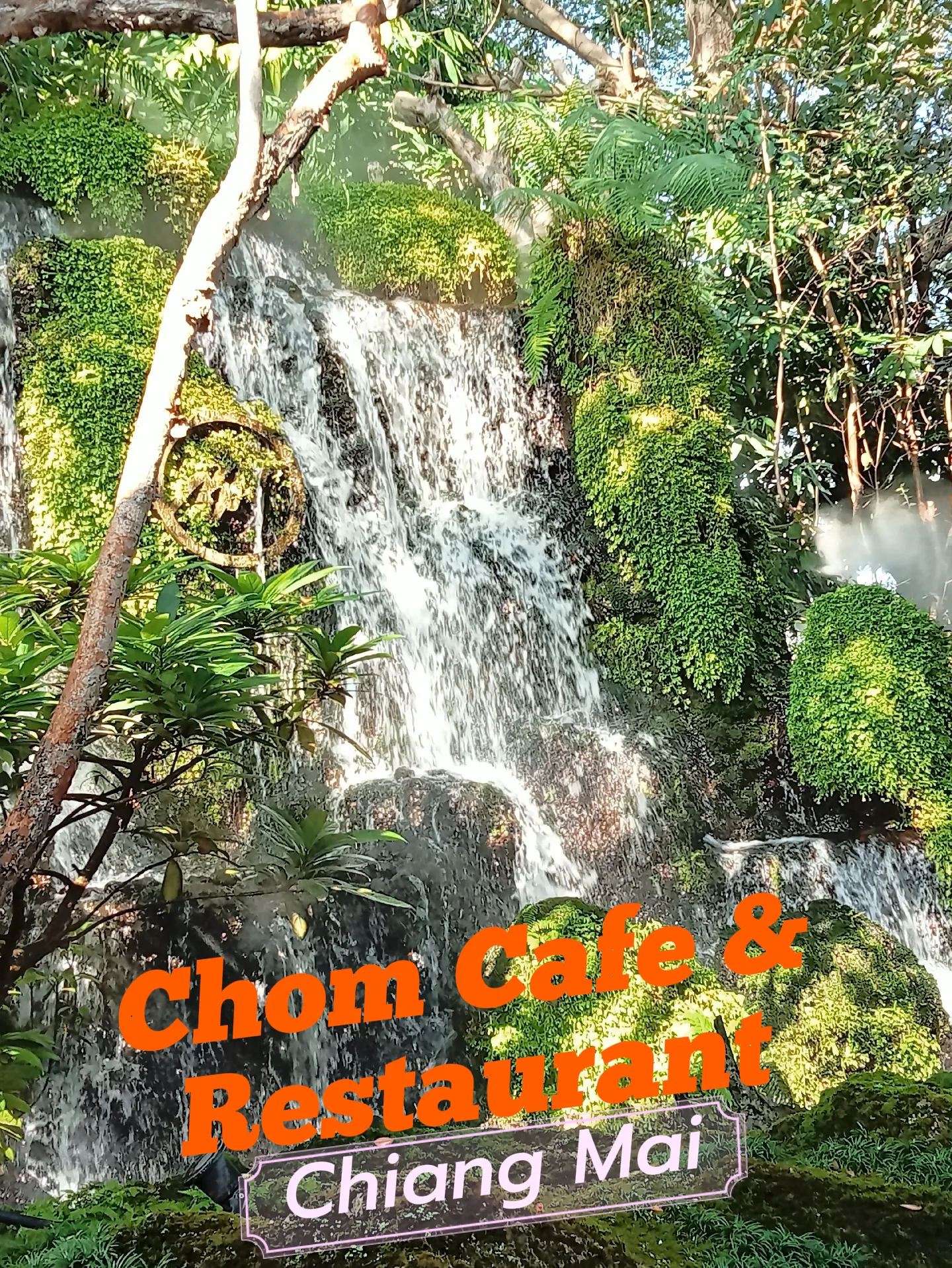 Chom Cafe & Restaurants เชียงใหม่ | วิดีโอที่เผยแพร่โดย Mettachi T ...