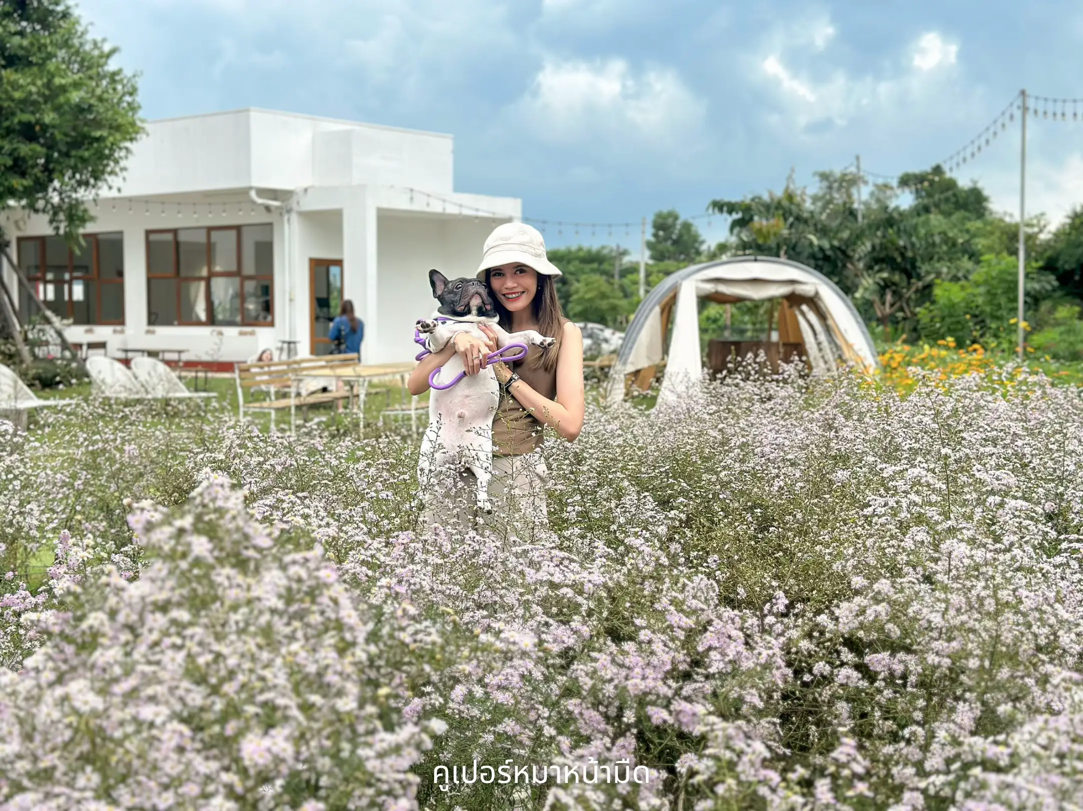 คาเฟ่พัทยาสุนัขเข้าได้ | แกลเลอรีที่โพสต์โดย Vila | Lemon8