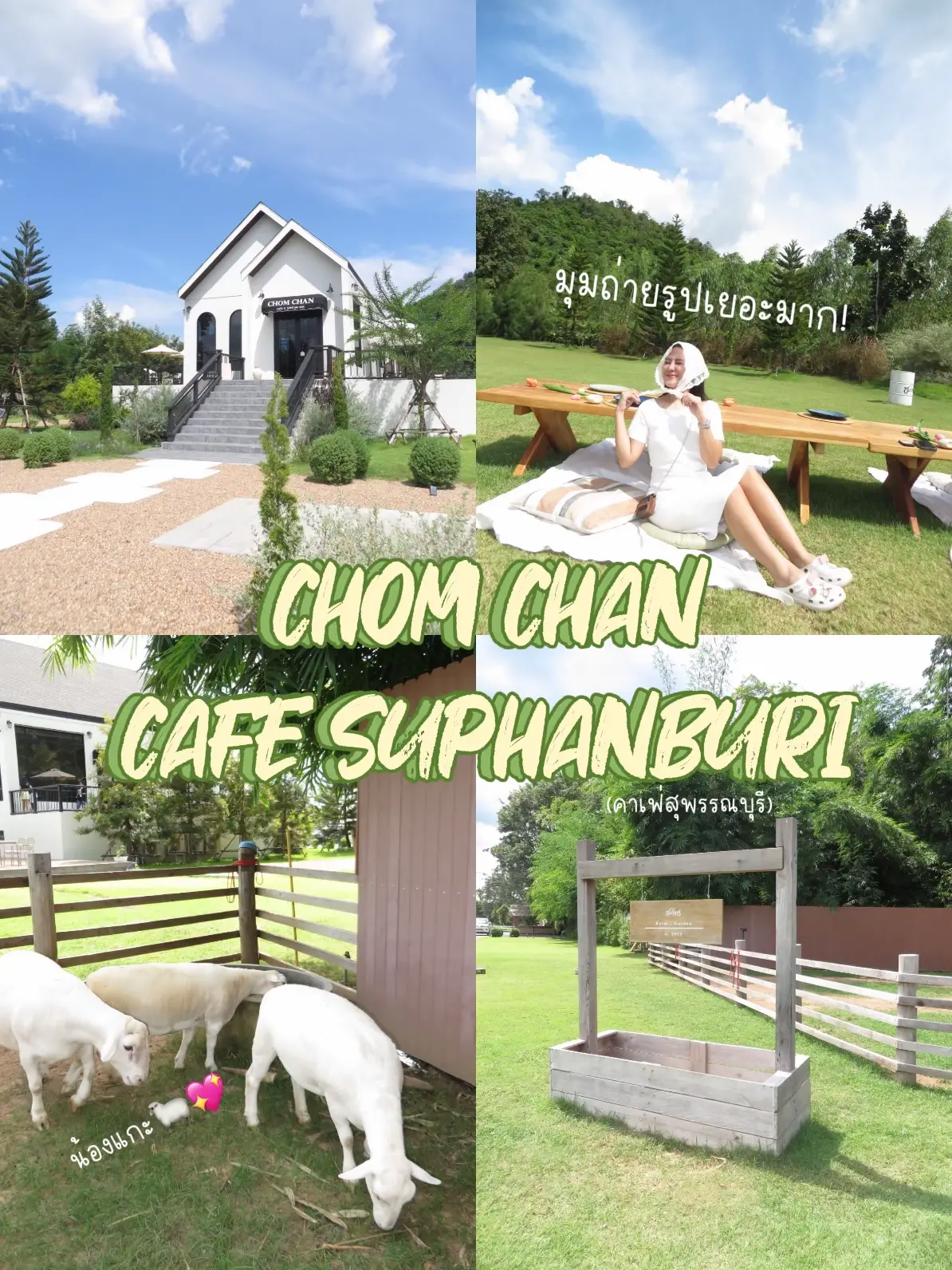 CHOM CHAN ชมจันทร์🌙 (คาเฟ่สุพรรณบุรีเปิดใหม่ มีน้องแกะน่ารัก🐑) | แกลเลอรีที่โพสต์โดย ตามเมมาา ...