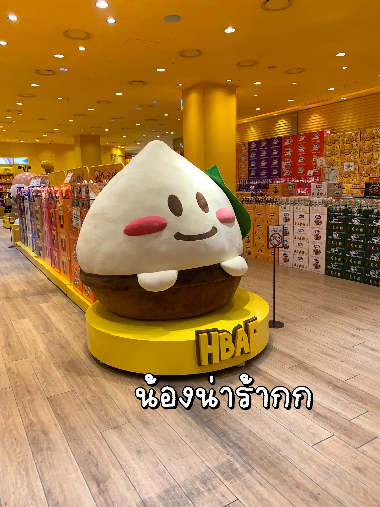 รีวิวHBAF ที่เกาหลี🇰🇷 | แกลเลอรีที่โพสต์โดย อันยองออนนี่ | Lemon8