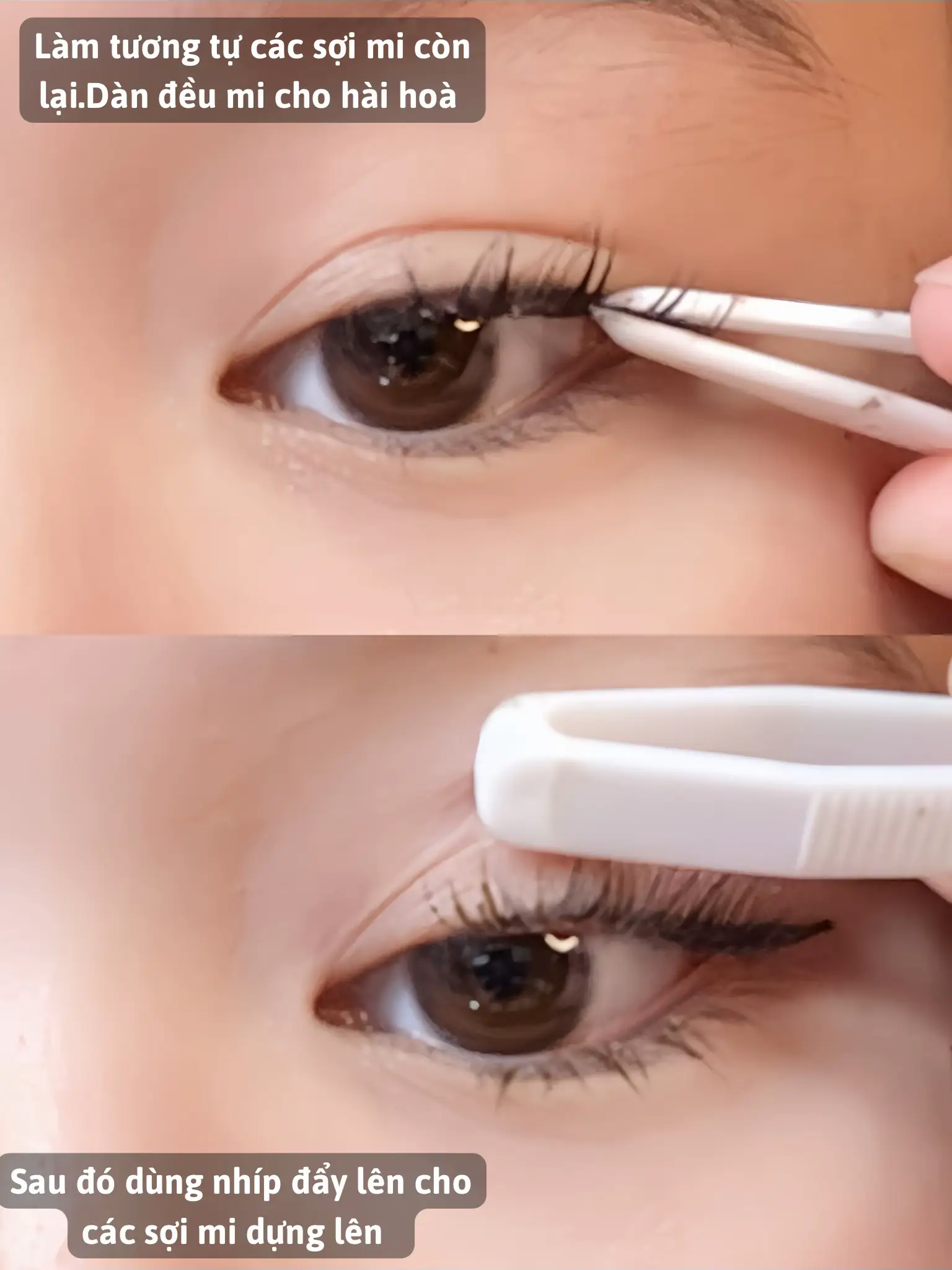 HƯỚNG DẪN DÁN MI GIẢ CHO NGƯỜI MỚI | Bộ sưu tập do Bảo Bối 🍀 đăng | Lemon8