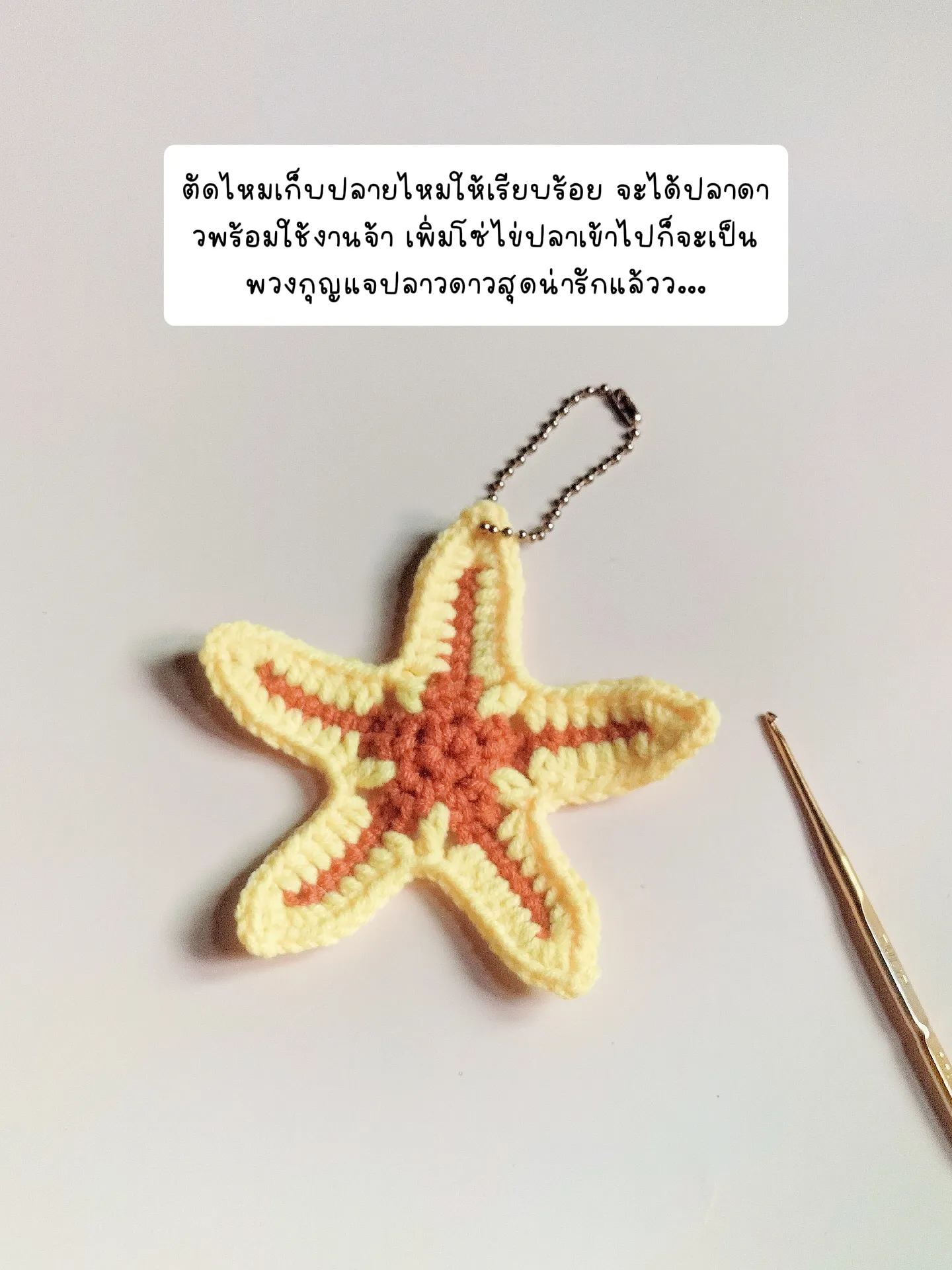 Starfish แจกแพทเทิร์นถักปลาดาว | แกลเลอรีที่โพสต์โดย LittleStitch | Lemon8