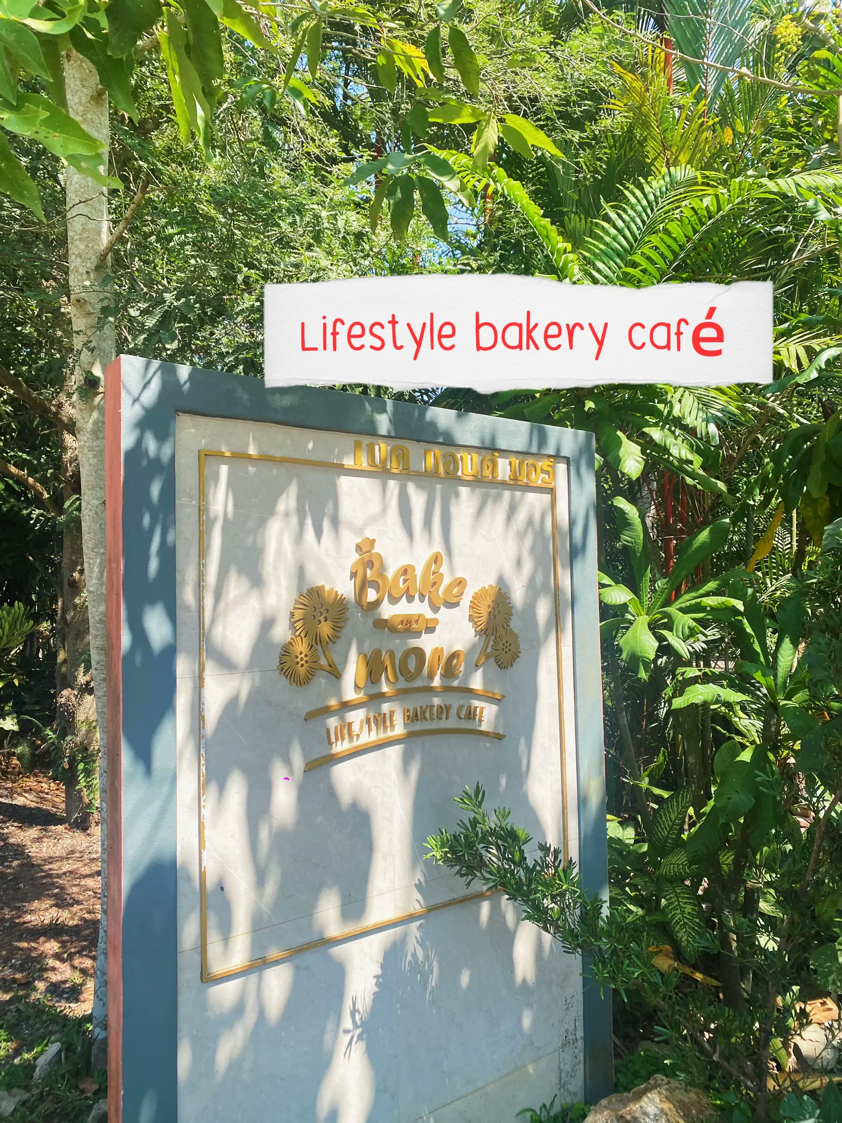 คาเฟ่ ระยอง สายธรรมชาติ นั่งชิวๆเพลินๆได้ทั้งวัน 🫶🏻🌳🍃🍂🍴 | แกลเลอรีที่โพสต์โดย มาจอยกับหมวย ;) ...