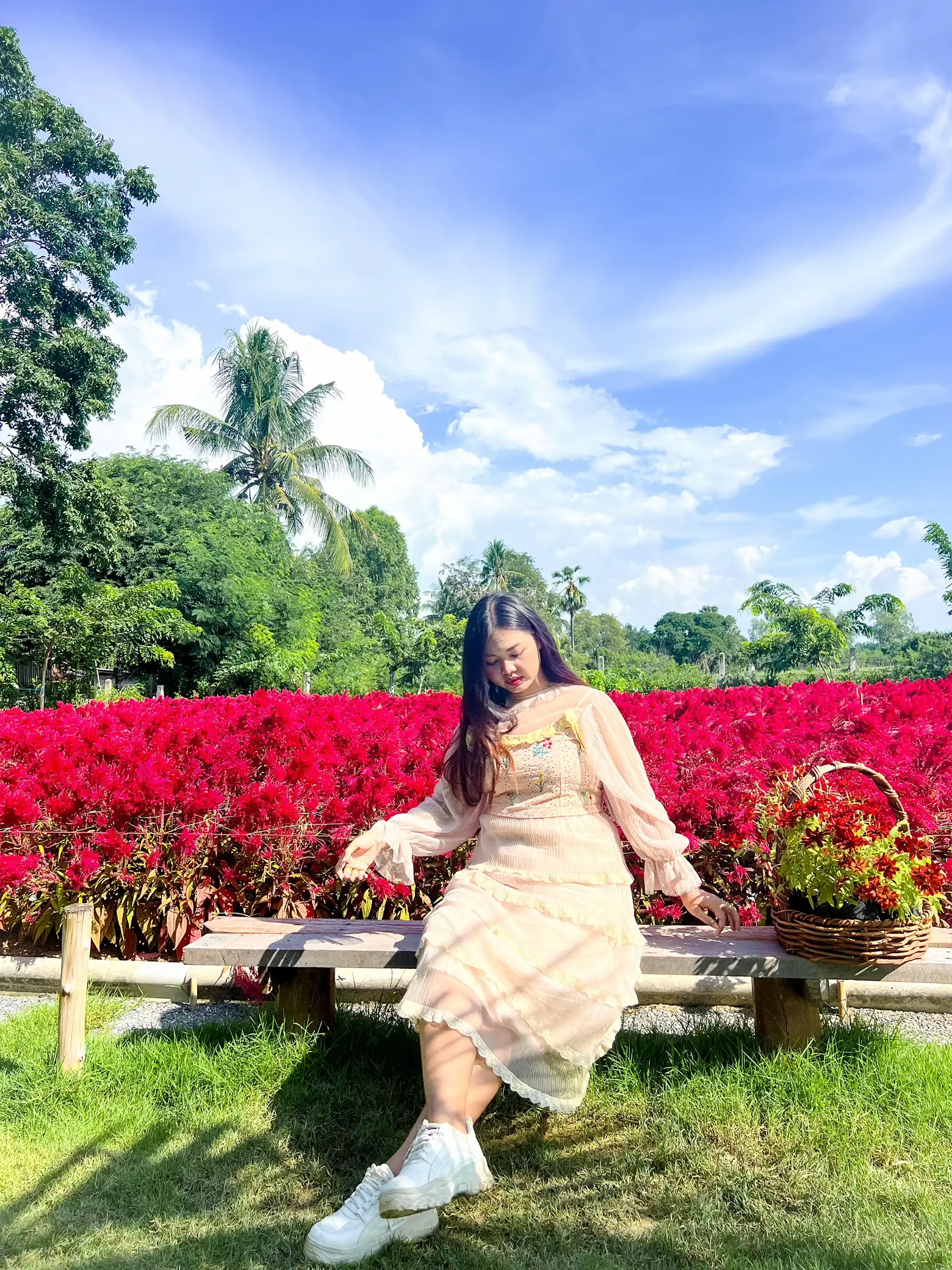 DD Flower Farm 🌷💐🪻🌼🌻 | แกลเลอรีที่โพสต์โดย Thanyarat.b | Lemon8