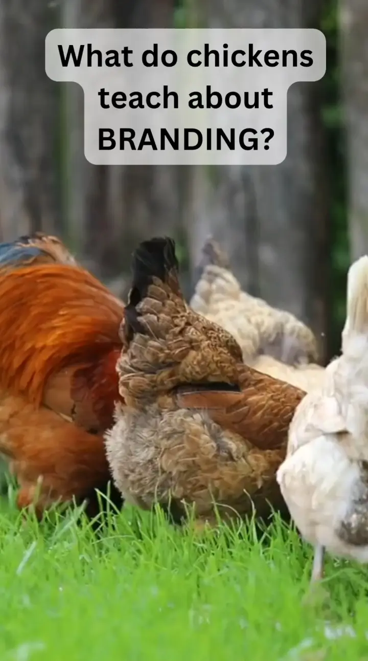 WHAT DO CHICKEN TEACH ABOUT BRANDING!!! | วิดีโอที่เผยแพร่โดย ...