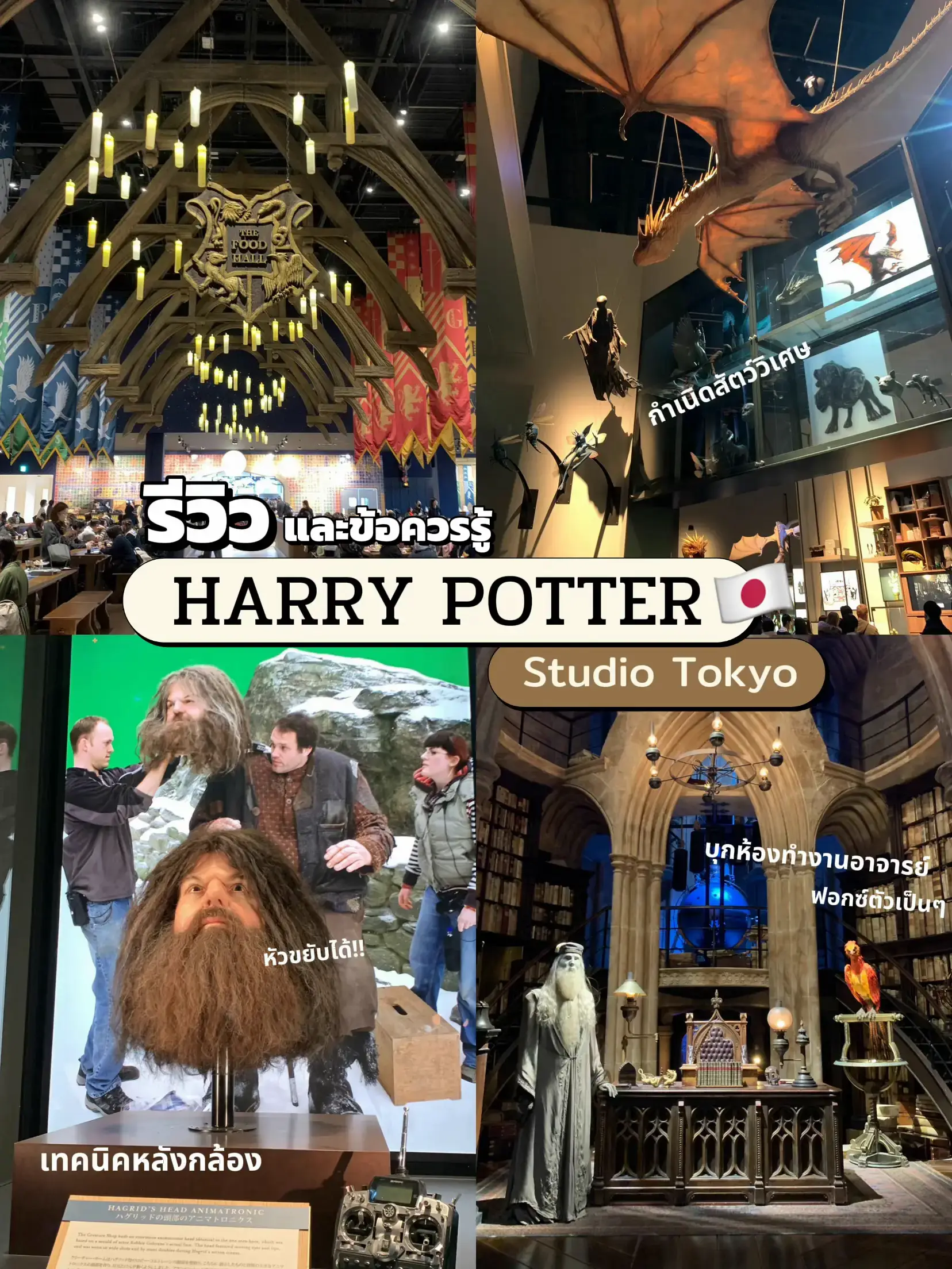 รีวิว Harry Potter Studio Tokyo 🇯🇵 ใหญ่ที่สุดในโลก!!! | แกลเลอรีที่ ...