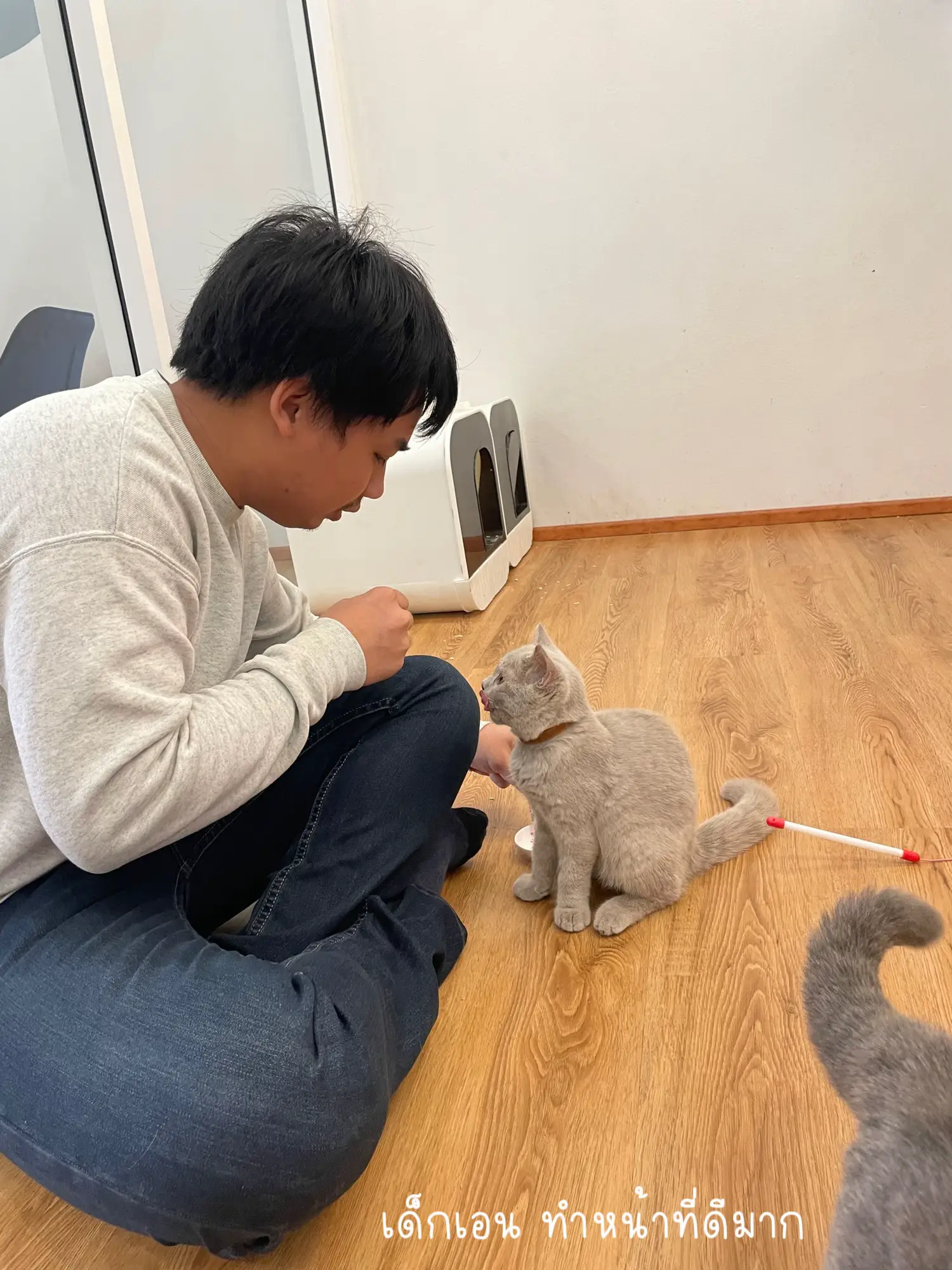 Little Paw Cafe | แกลเลอรีที่โพสต์โดย Pai-Kin-Len | Lemon8