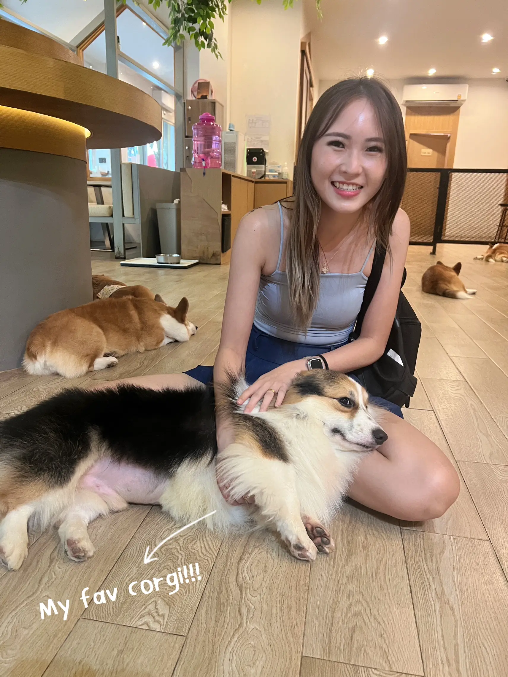 best capybara cafe in Bangkok - Lemon8 Search