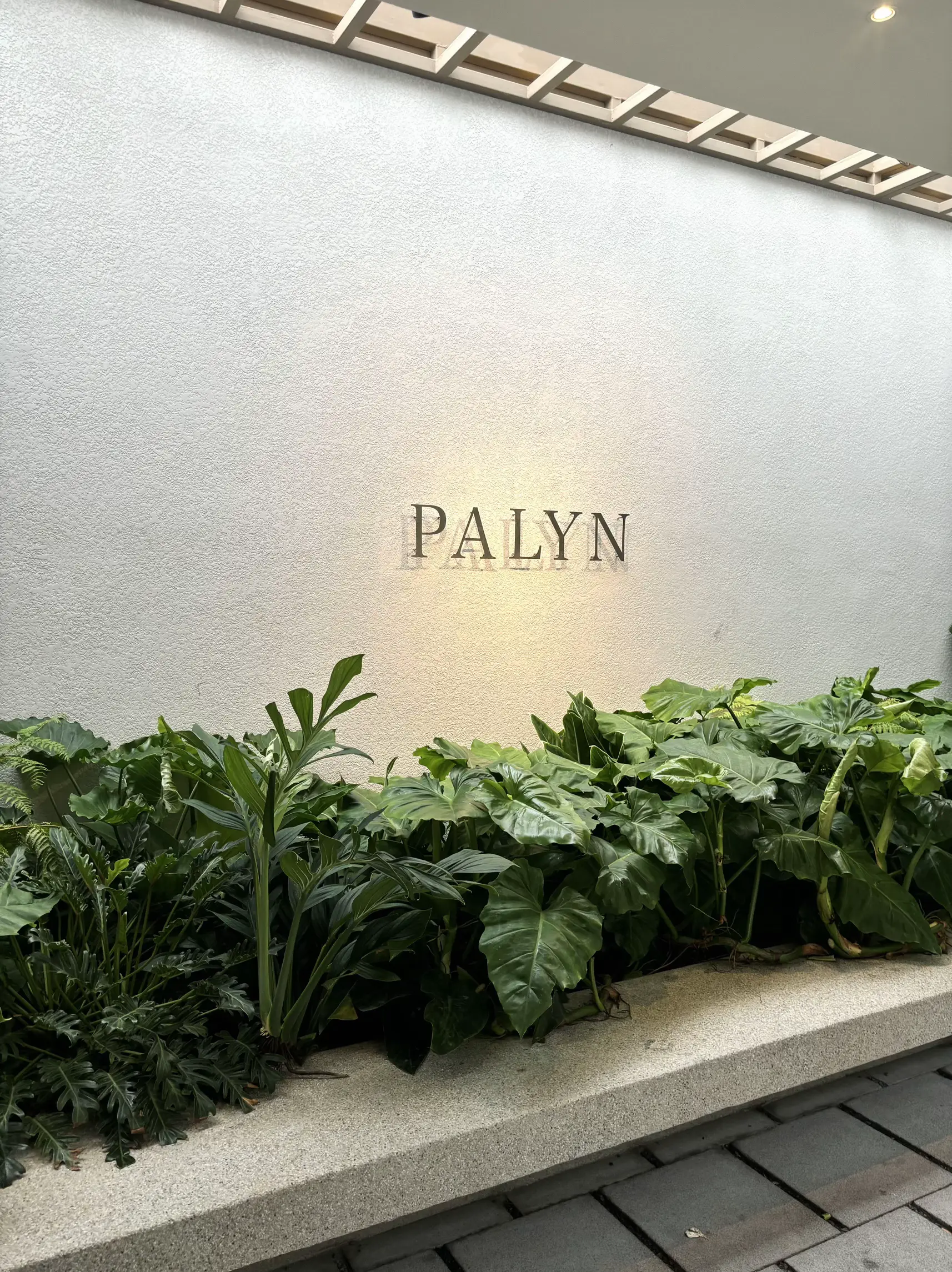 PALYN cafe🥥🌴🌊คาเฟ่ใหม่ติดทะเลสัตหีบ! | แกลเลอรีที่โพสต์โดย mostfave💖👍🏻💫 ...