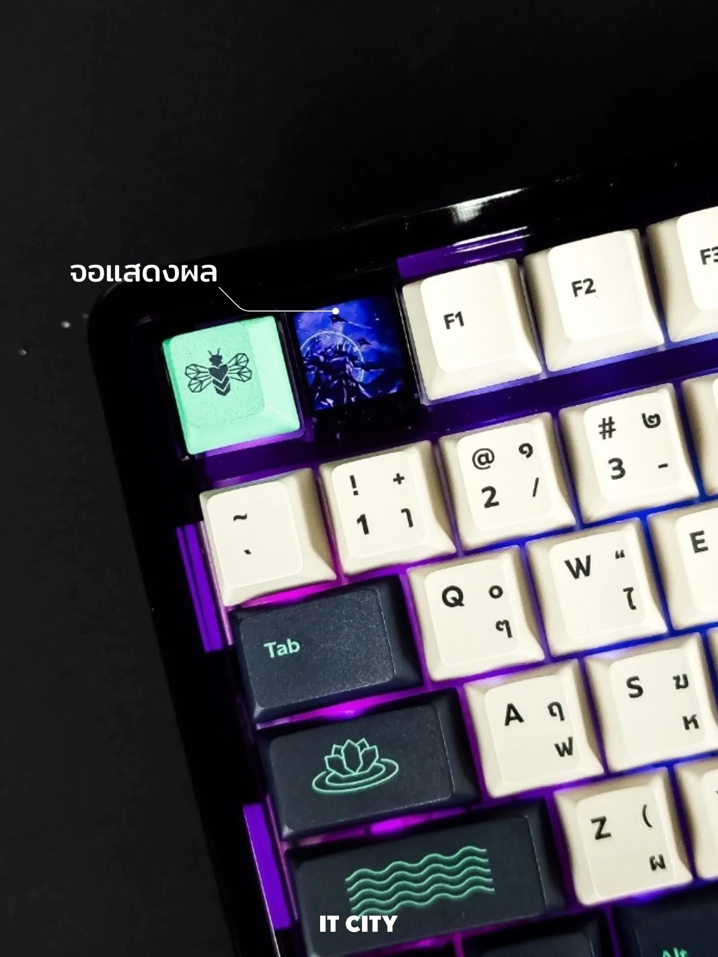 Yaksa Pro