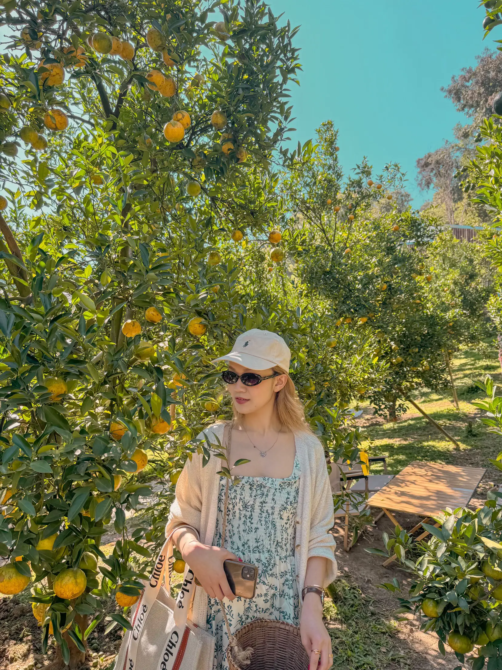 MY GARDEN (Mon Jam, Chiangmai) | แกลเลอรีที่โพสต์โดย Pangpond NTK | Lemon8