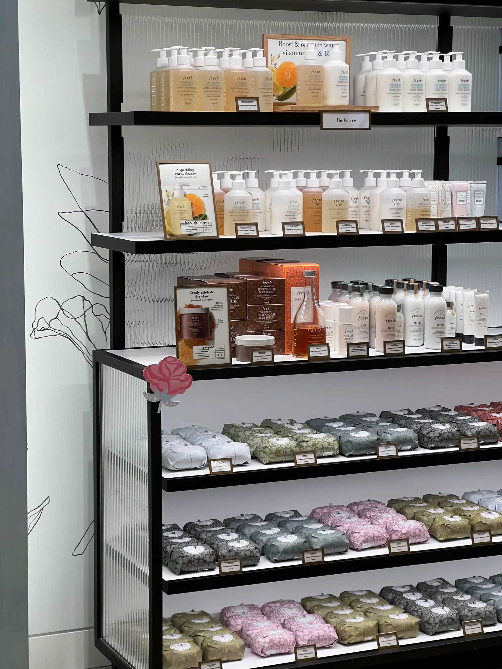 FREE fresh rose kit! | Galeri disiarkan oleh Semi | Lemon8