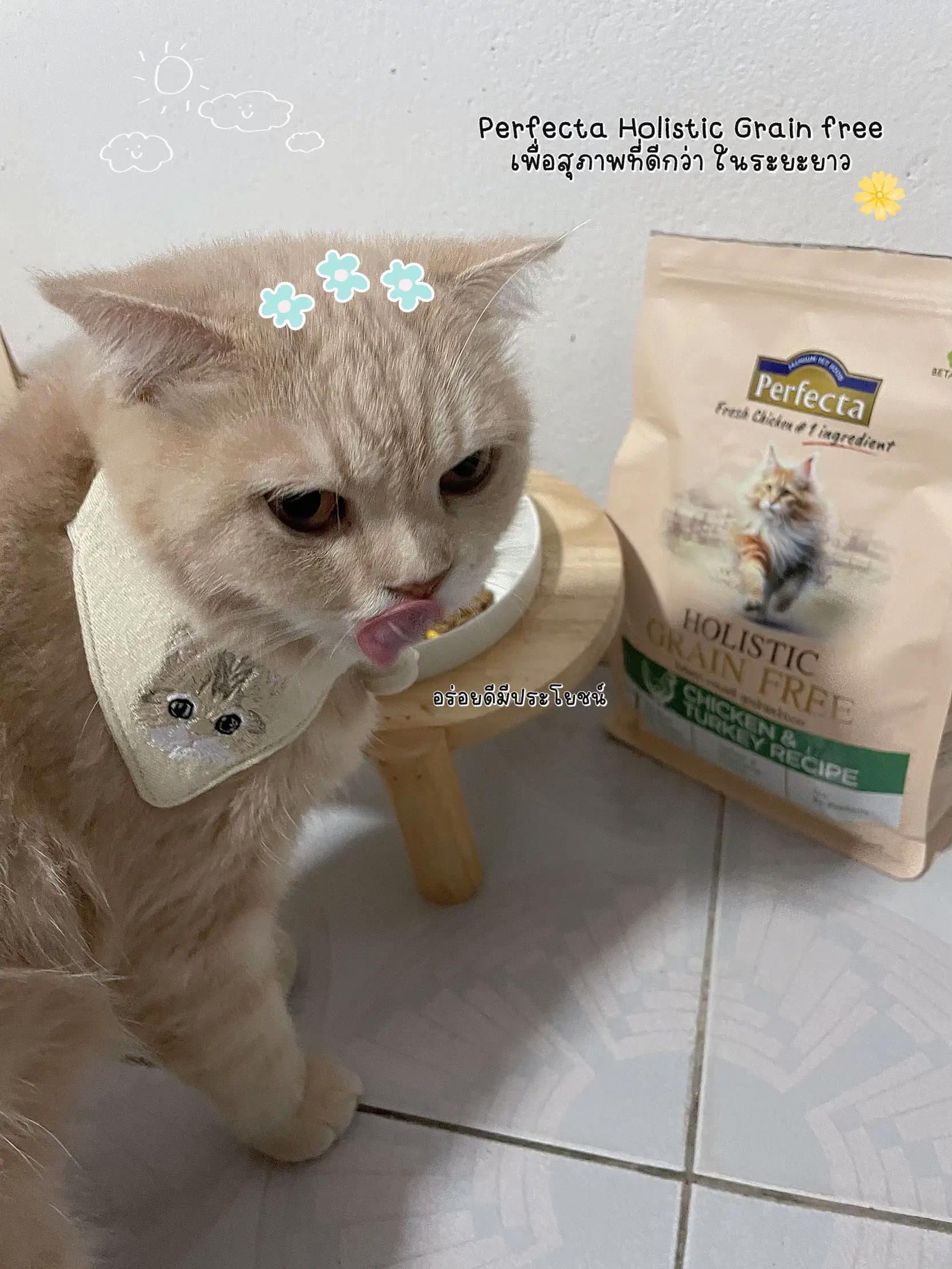 Perfecta Holistic Grain free | แกลเลอรีที่โพสต์โดย สามพามารีวิว | Lemon8