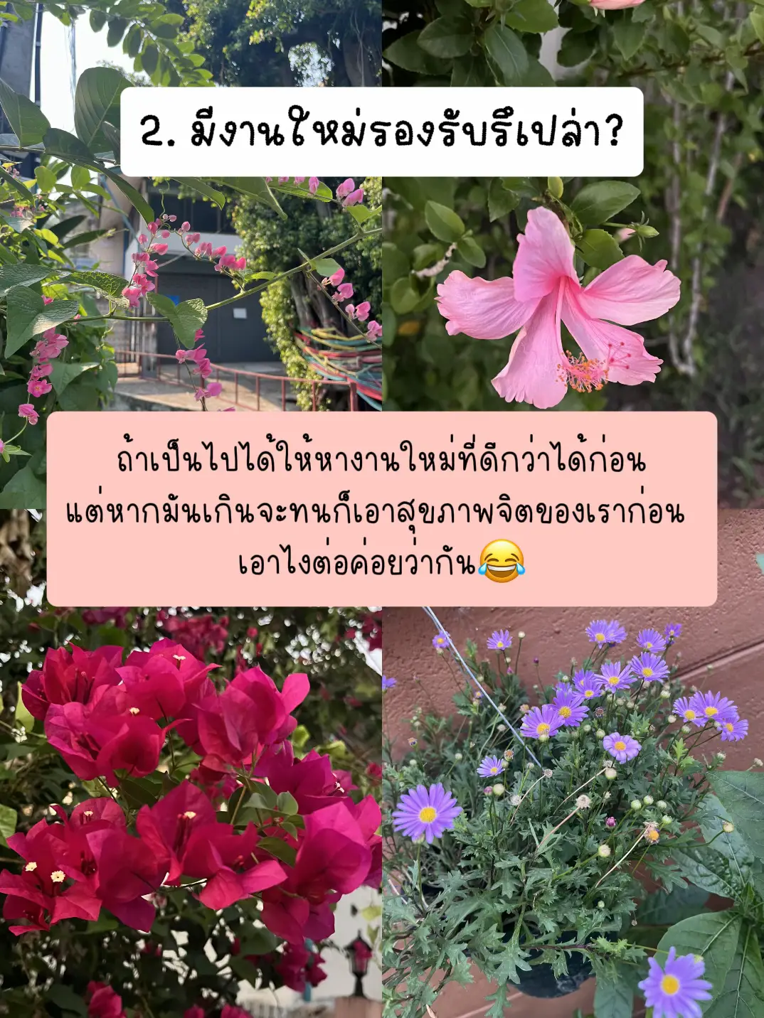 ก่อนลาออก ต้องคำนึง 3 สิ่งนี้ | แกลเลอรีที่โพสต์โดย Nuna_2000 | Lemon8