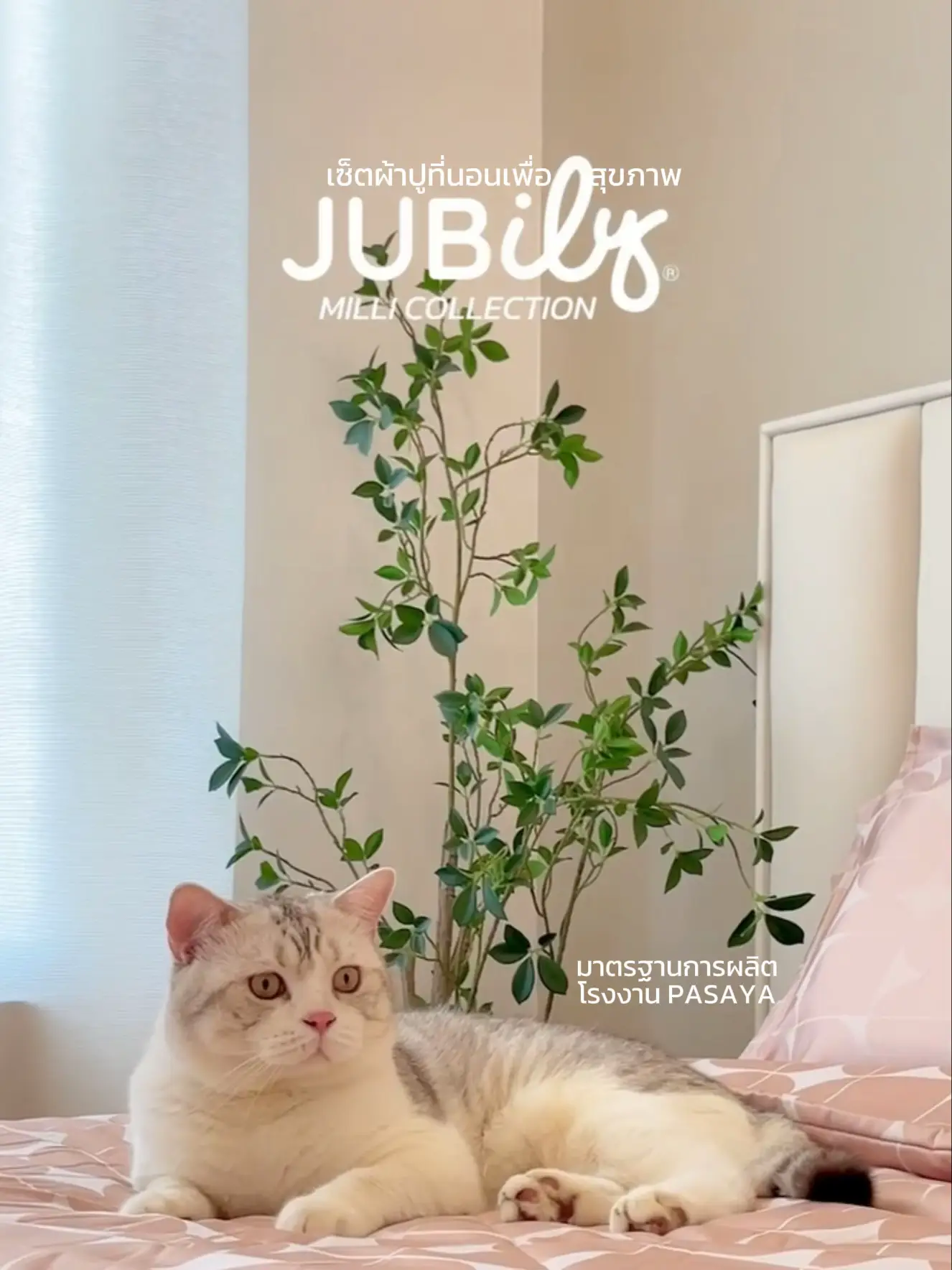 ป้ายยา ผ้าปูที่นอน Pet Friendly จาก JUB.ILoveYou 💖 | แกลเลอรีที่โพสต์โดย เฟิร์นเฟิร์นเอง | Lemon8