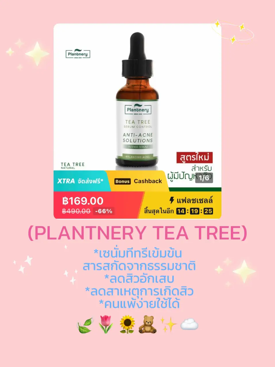 (PLANTNERY TEA TREE) | แกลเลอรีที่โพสต์โดย Tan Ita | Lemon8
