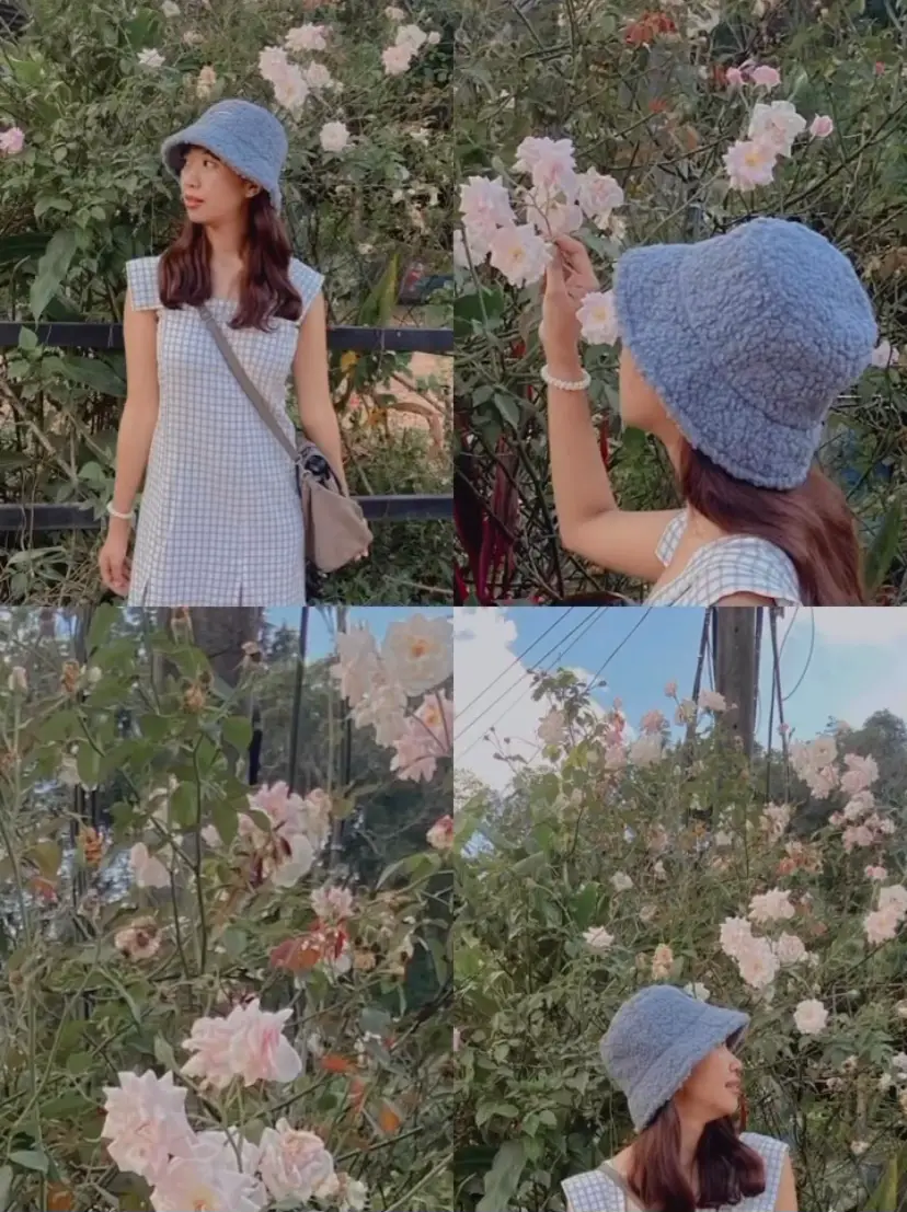 Check in Nan ขับรถไปเที่ยวน่านครั้งแรก !! 🚗 | แกลเลอรีที่โพสต์โดย G ...