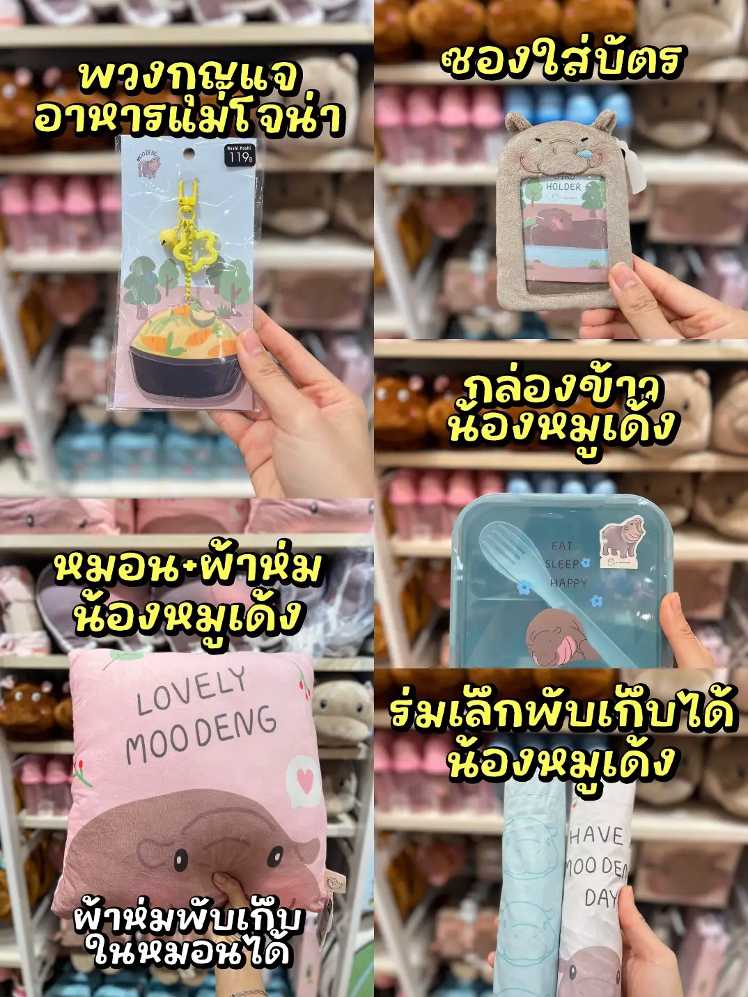 พาส่องเจ้าหมูเด้งใน Moshi Moshi | แกลเลอรีที่โพสต์โดย Janelaya | Lemon8