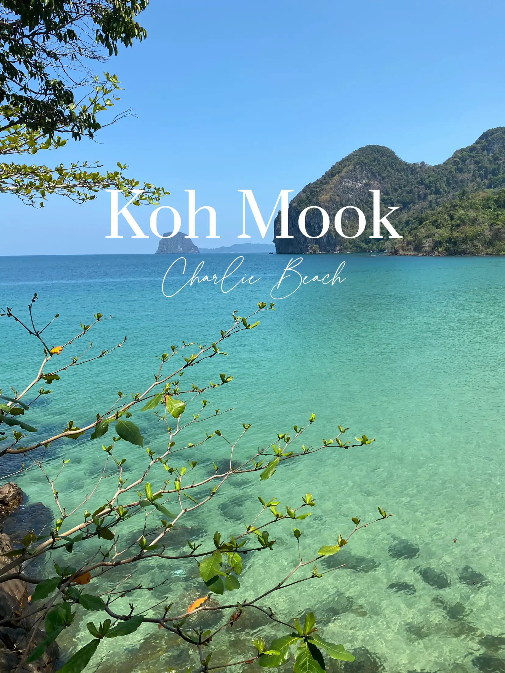 Koh Mook | แกลเลอรีที่โพสต์โดย lalune__tarot | Lemon8