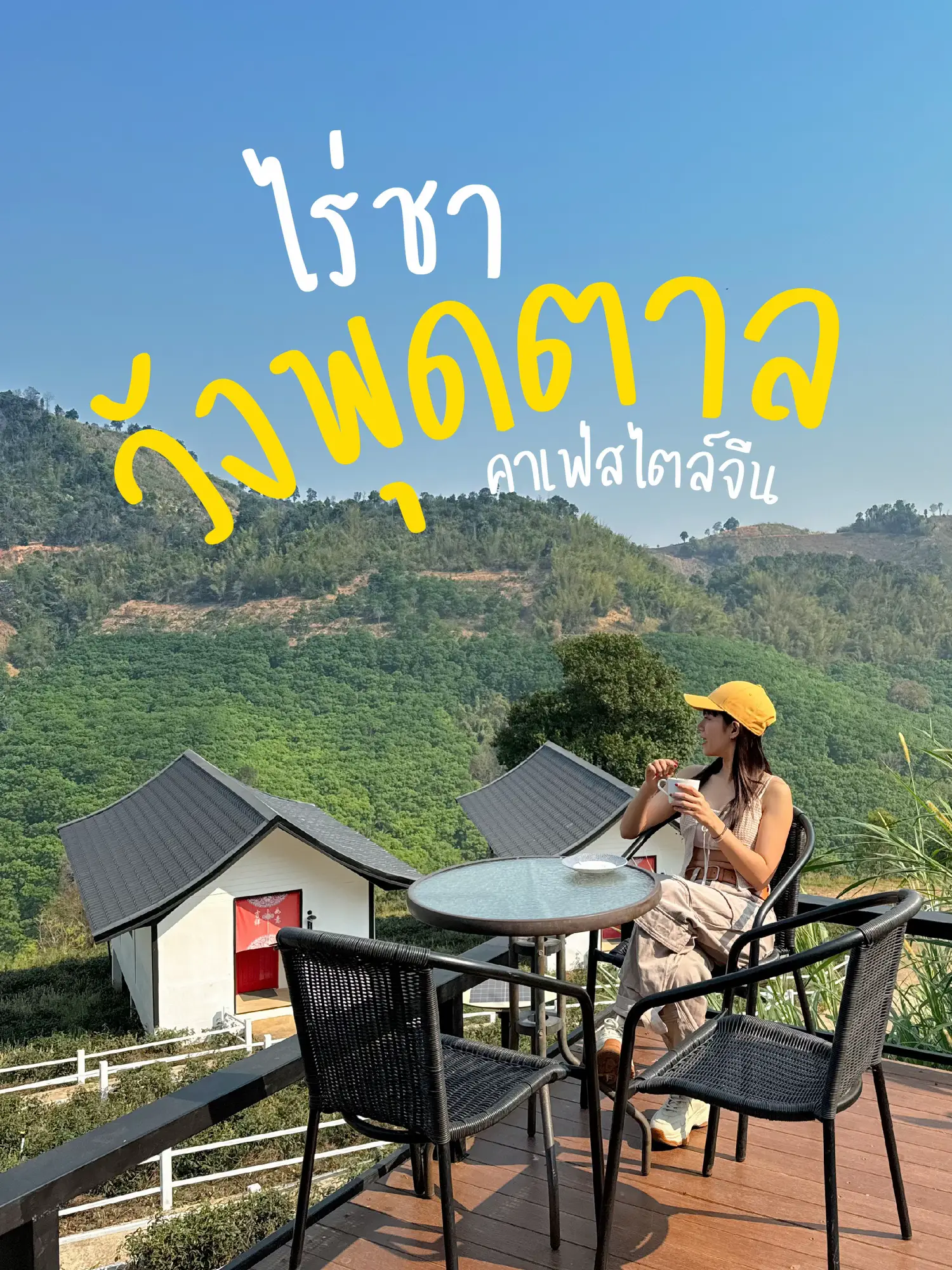 ☕️ ‘ไร่ชาวังพุดตาล’ คาเฟ่สไตล์จีน สวรรค์ของคนชอบดื่มชา | แกลเลอรีที่ ...