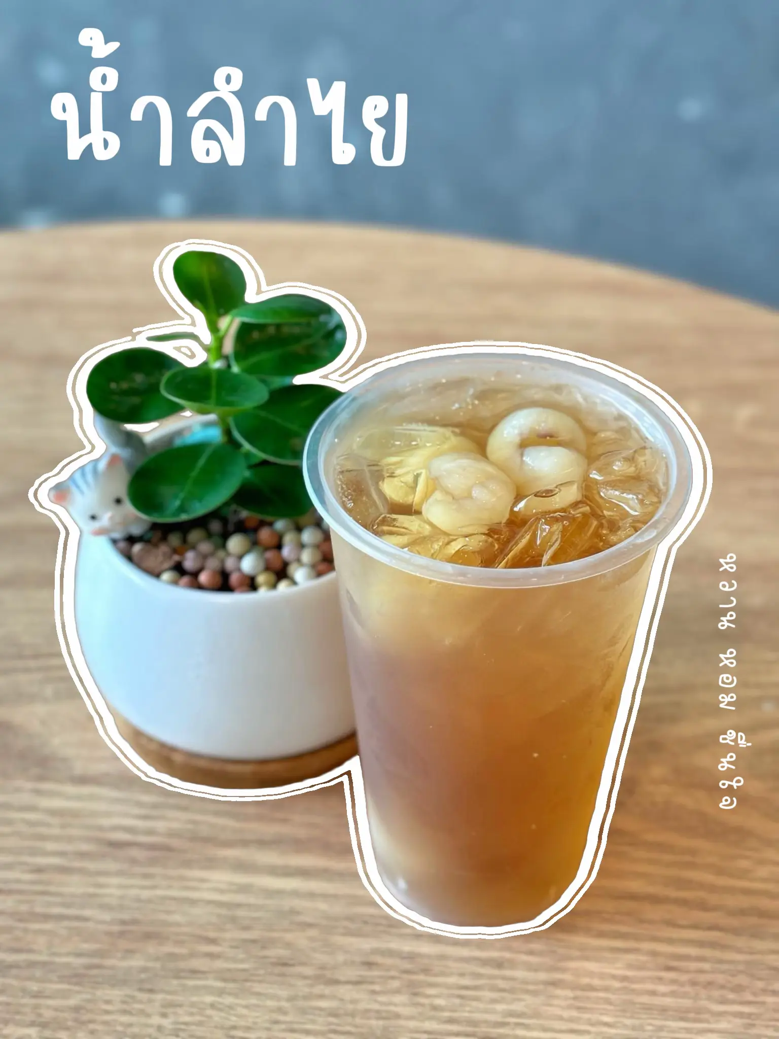 น้ำลำไย | แกลเลอรีที่โพสต์โดย Ploy_pailin | Lemon8