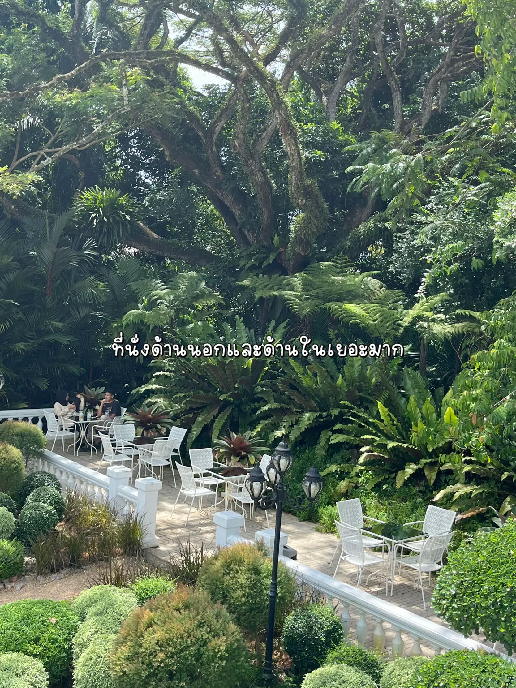 HLNG Cafe (หลง คาเฟ่) @พัทลุง | แกลเลอรีที่โพสต์โดย Ptmwdrn | Lemon8