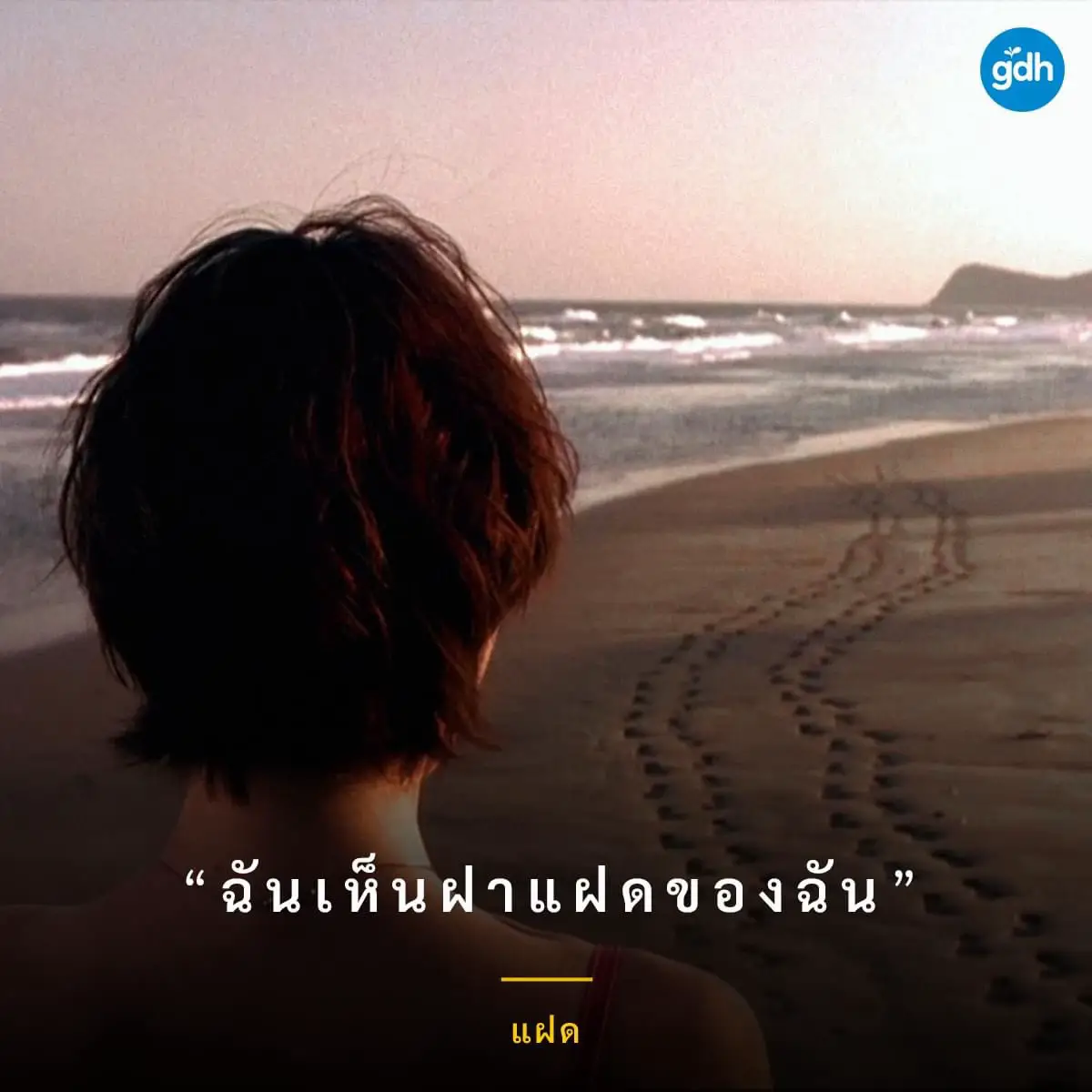 รวมประโยคปัง จากหนังในตำนาน 🎬 | แกลเลอรีที่โพสต์โดย GDH | Lemon8