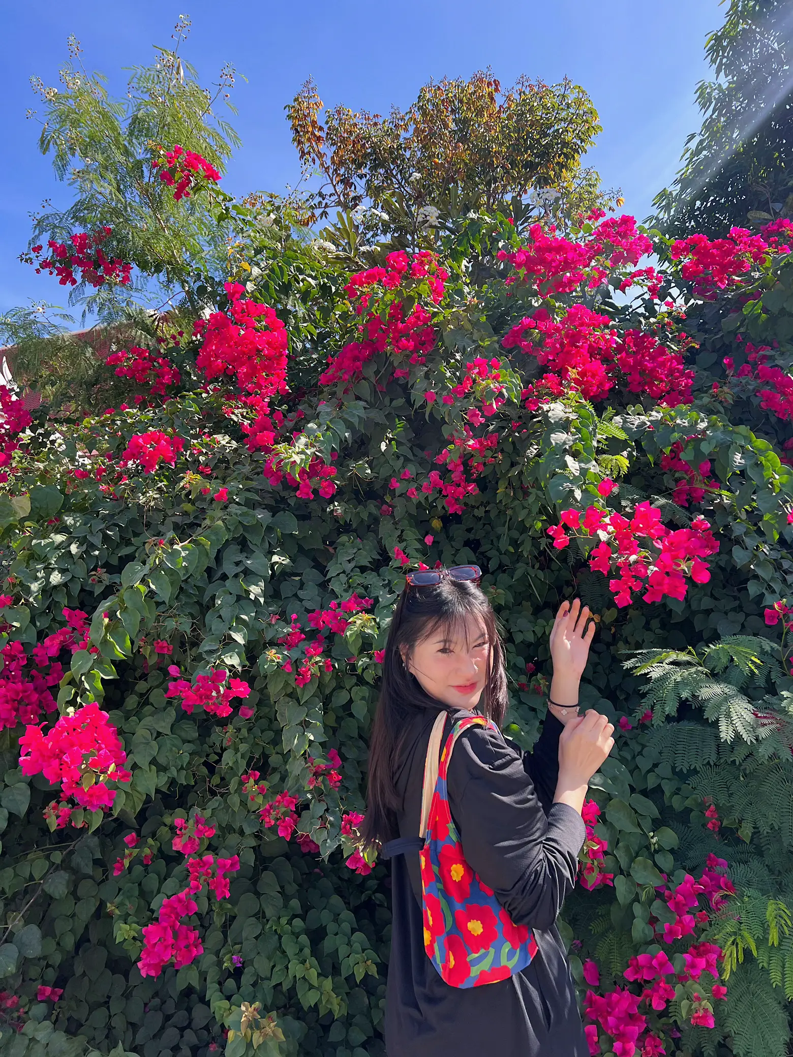 ดอกเฟื่องฟ้า วัดโนนสว่าง | แกลเลอรีที่โพสต์โดย Janelaya | Lemon8