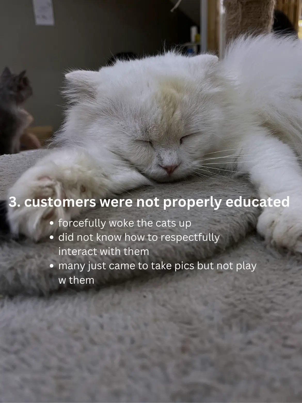 my honest review on chow q cafe in jb 🐕🐈‍⬛ | Gallery posted by faith ッ ...