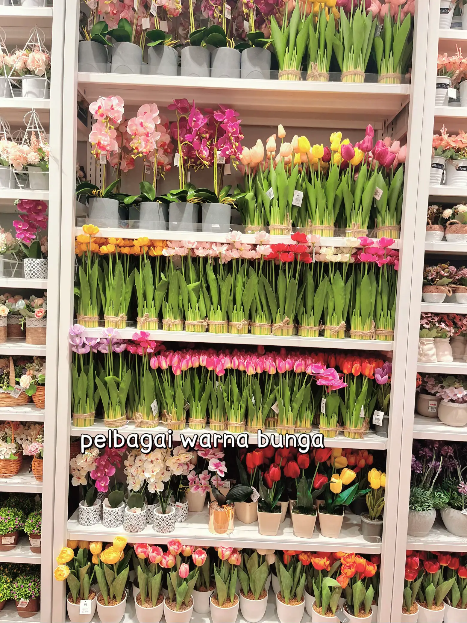 Garden Ideas Under RM30 from Kaison | แกลเลอรีที่โพสต์โดย Cute_girl👑 ...