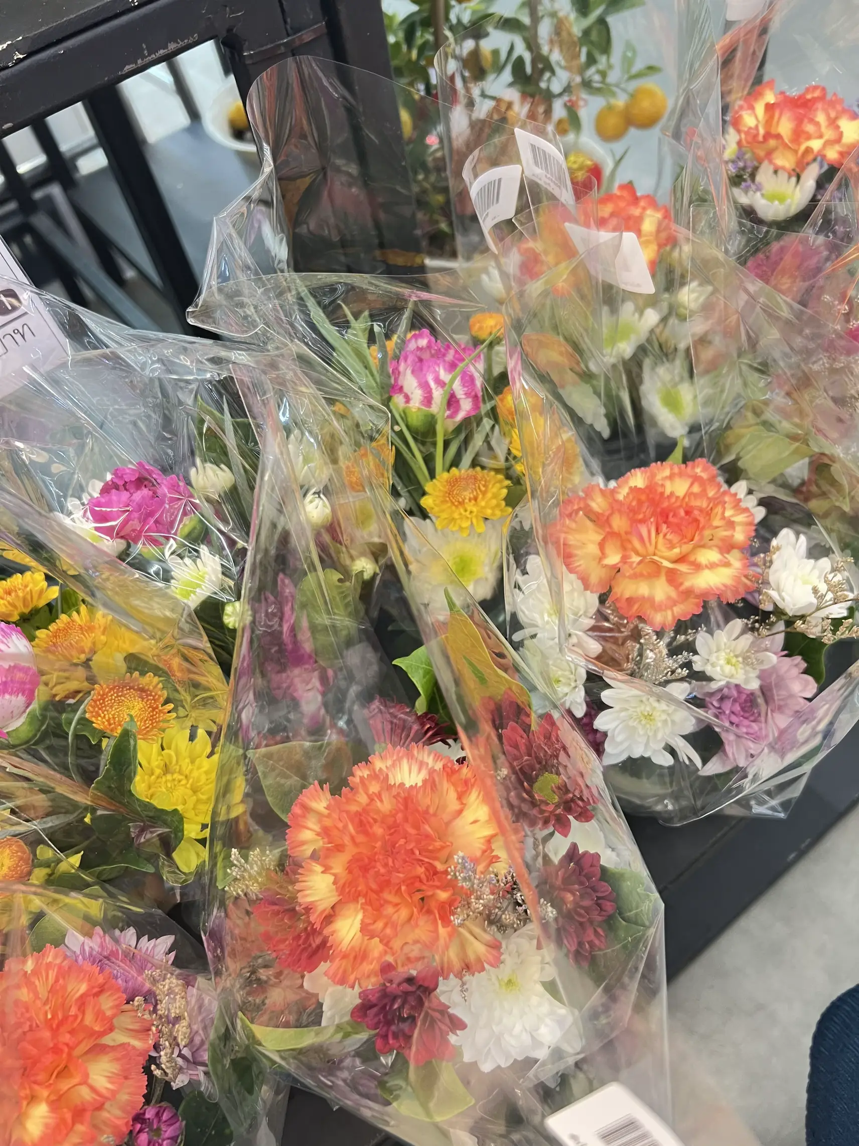 พิกัดดอกไม้ ไหว้พระในแม็คโคร | แกลเลอรีที่โพสต์โดย Noona_aaa | Lemon8