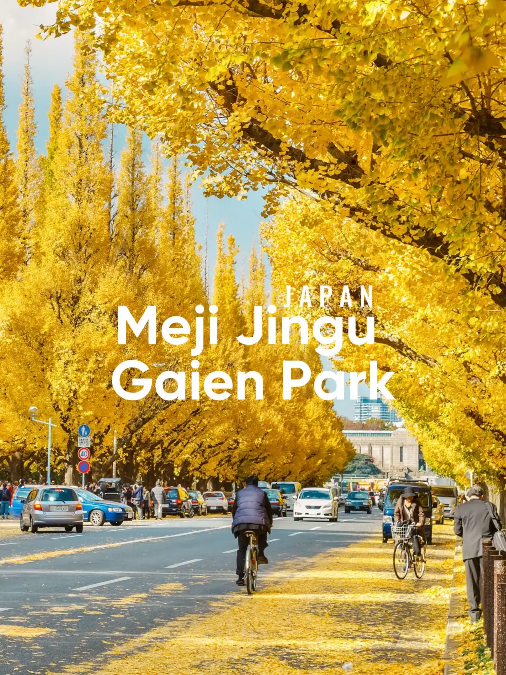 Ginkgo Tree Road The most beautiful in Tokyo. | Gallery posted by UnithaiTrip | Lemon8
