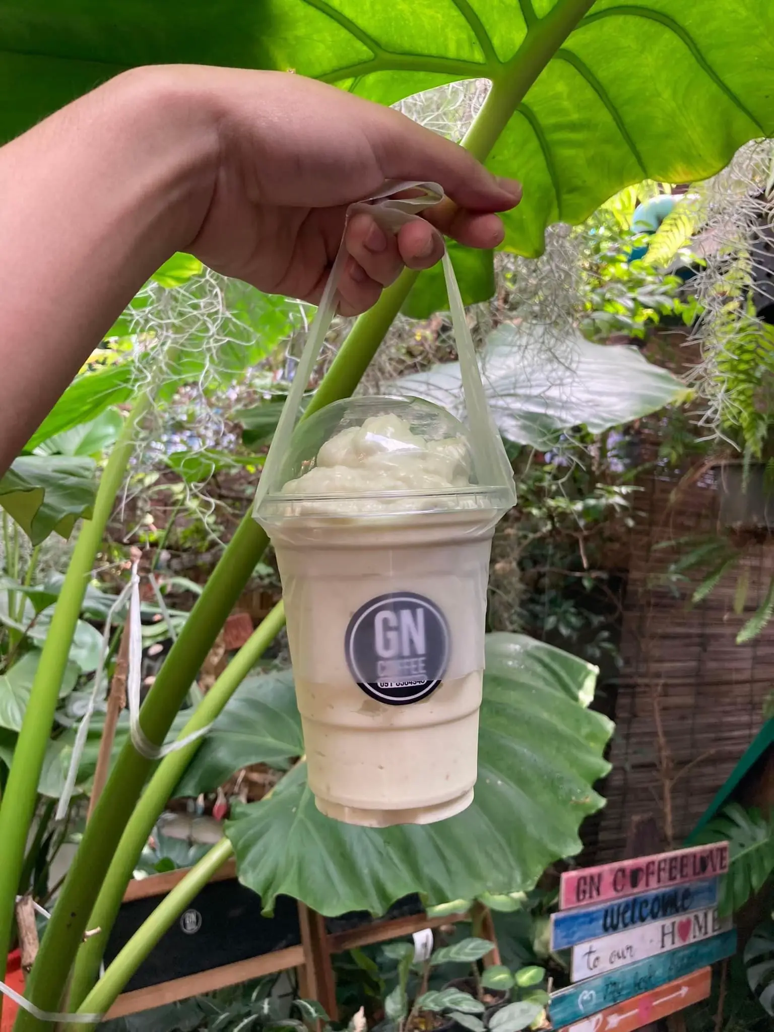 🪷🏵️ Fresh milk, avocado smoothie. 🏵️🪷 | Gallery posted by GNCoffee จ.แพร่ | Lemon8