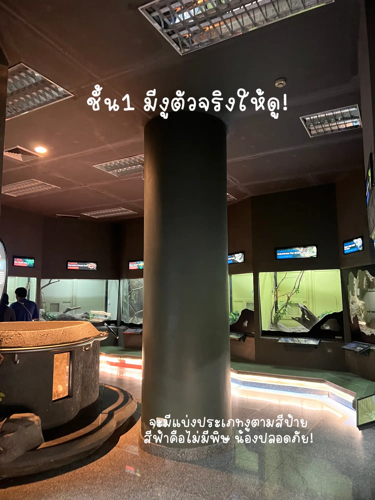 เที่ยวสวนงู🐍💨 ค่าเข้า20บาท!! | แกลเลอรีที่โพสต์โดย roployro🍮 | Lemon8