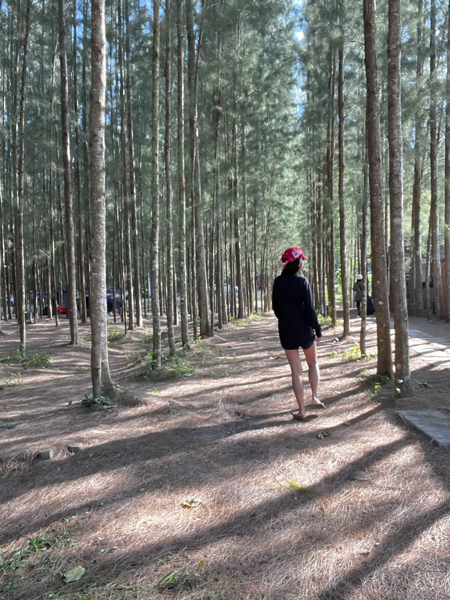 Phupha Coffee Camp มาดูฟูจิเมืองโอ่งกัน🏞️ ️ | แกลเลอรีที่โพสต์โดย ZEOTZ | Lemon8