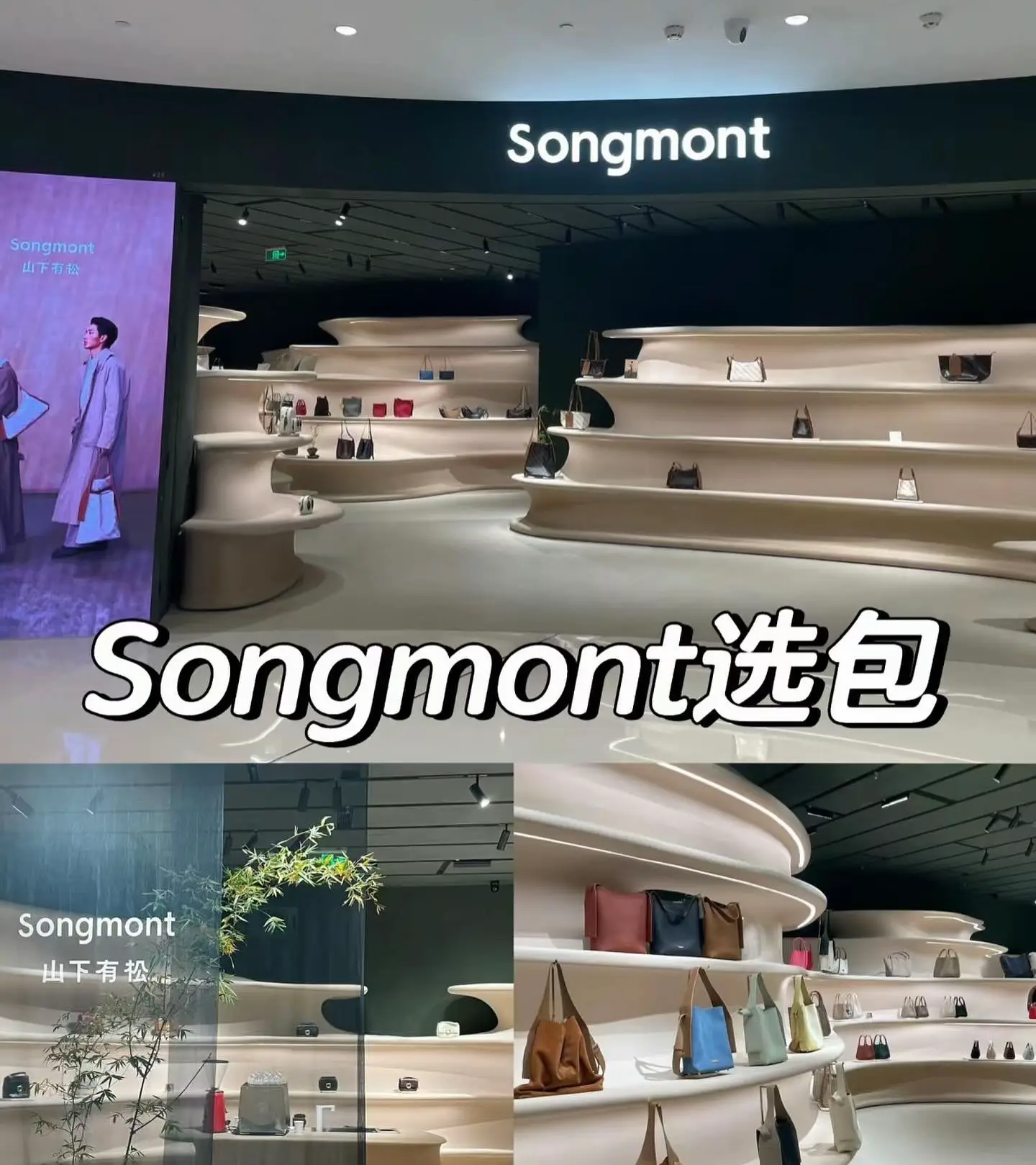 มาทำความรู้จักกระเป๋าแบรนด์ songmont 👜 กัน | แกลเลอรีที่โพสต์โดย ...