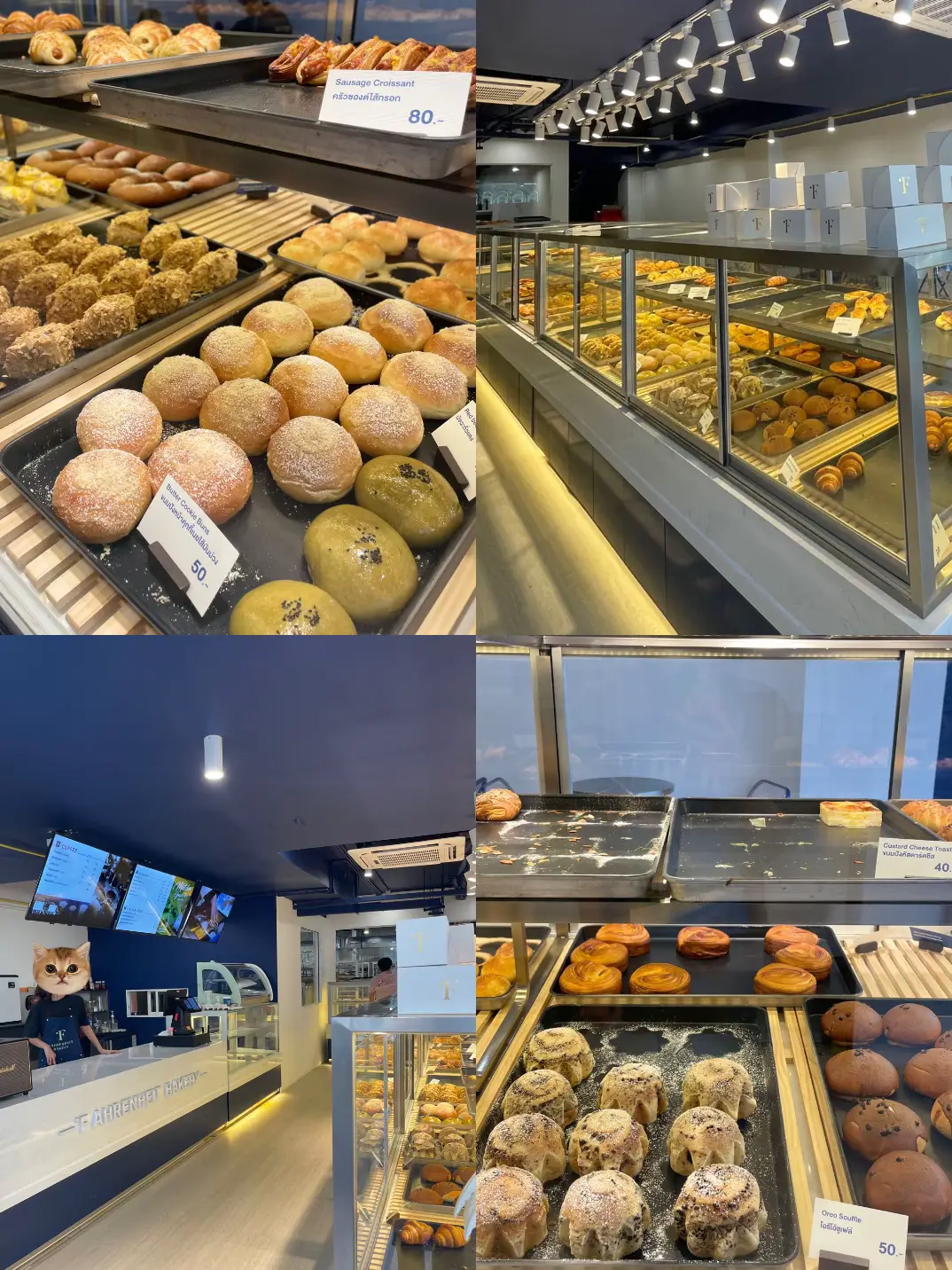 ร้านเค้กชิดลม - การค้นหาใน Lemon8