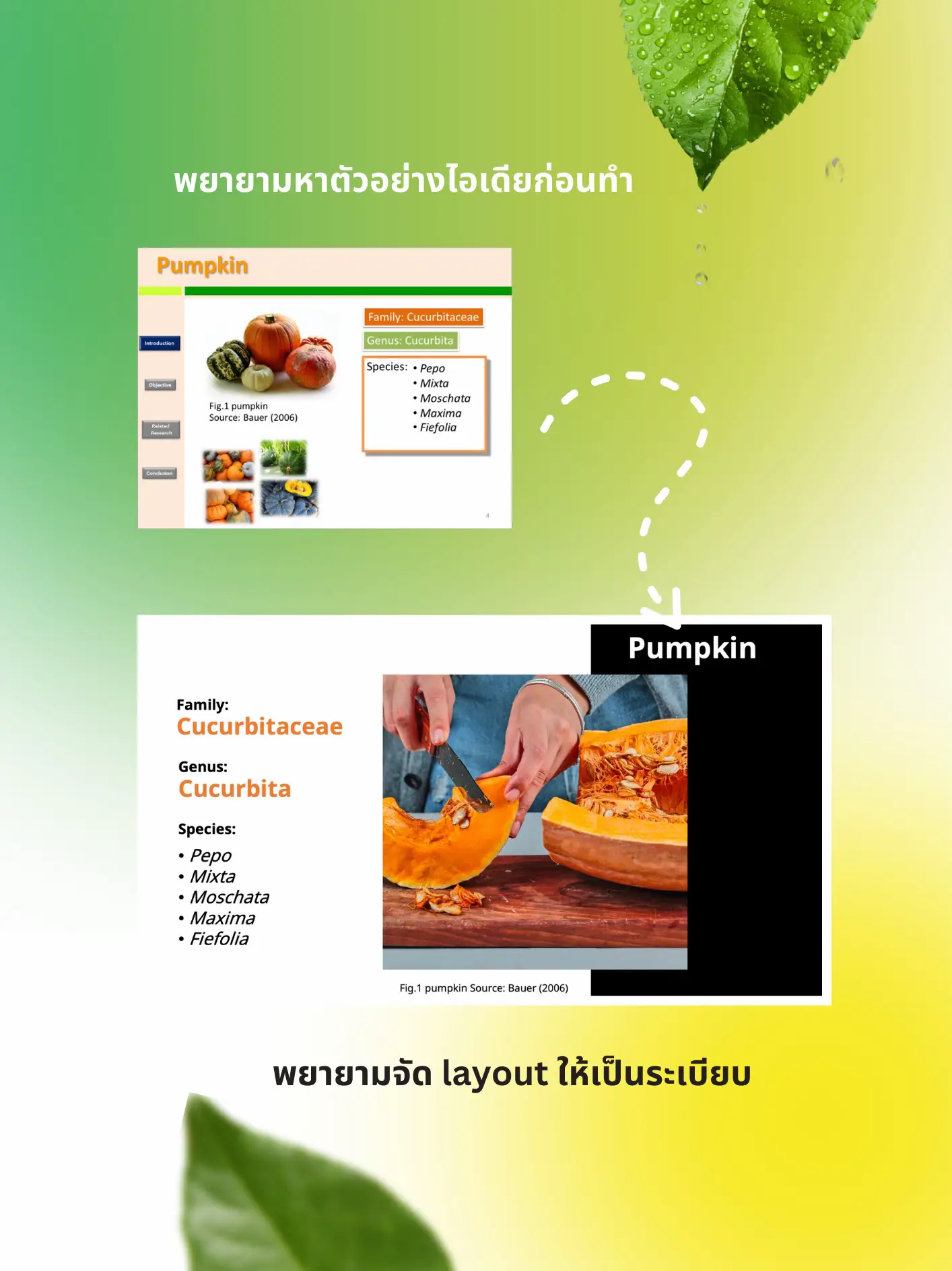 แชร์ไอเดียทำสไลด์สายวิทย์ให้ดูดี | แกลเลอรีที่โพสต์โดย PowerPoint Boy | Lemon8