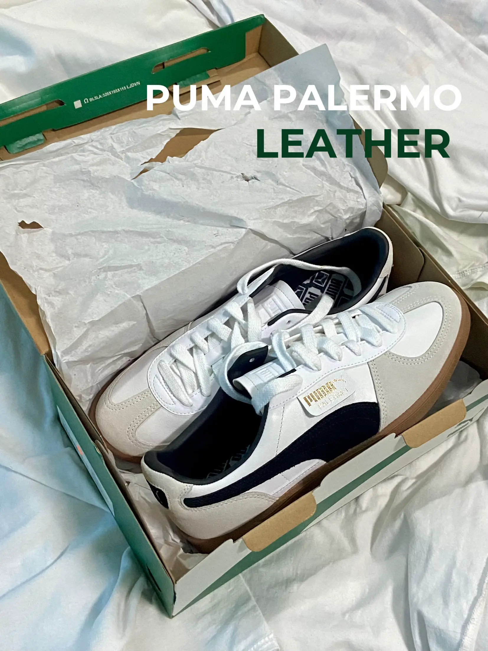 PUMA PALERMO | แกลเลอรีที่โพสต์โดย 71cm | Lemon8