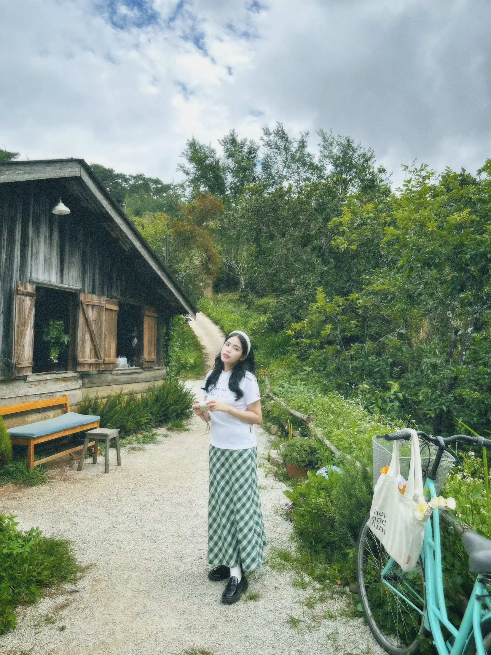 Cây 🍊ngọt của tôi | Bộ sưu tập do Ginger đăng | Lemon8