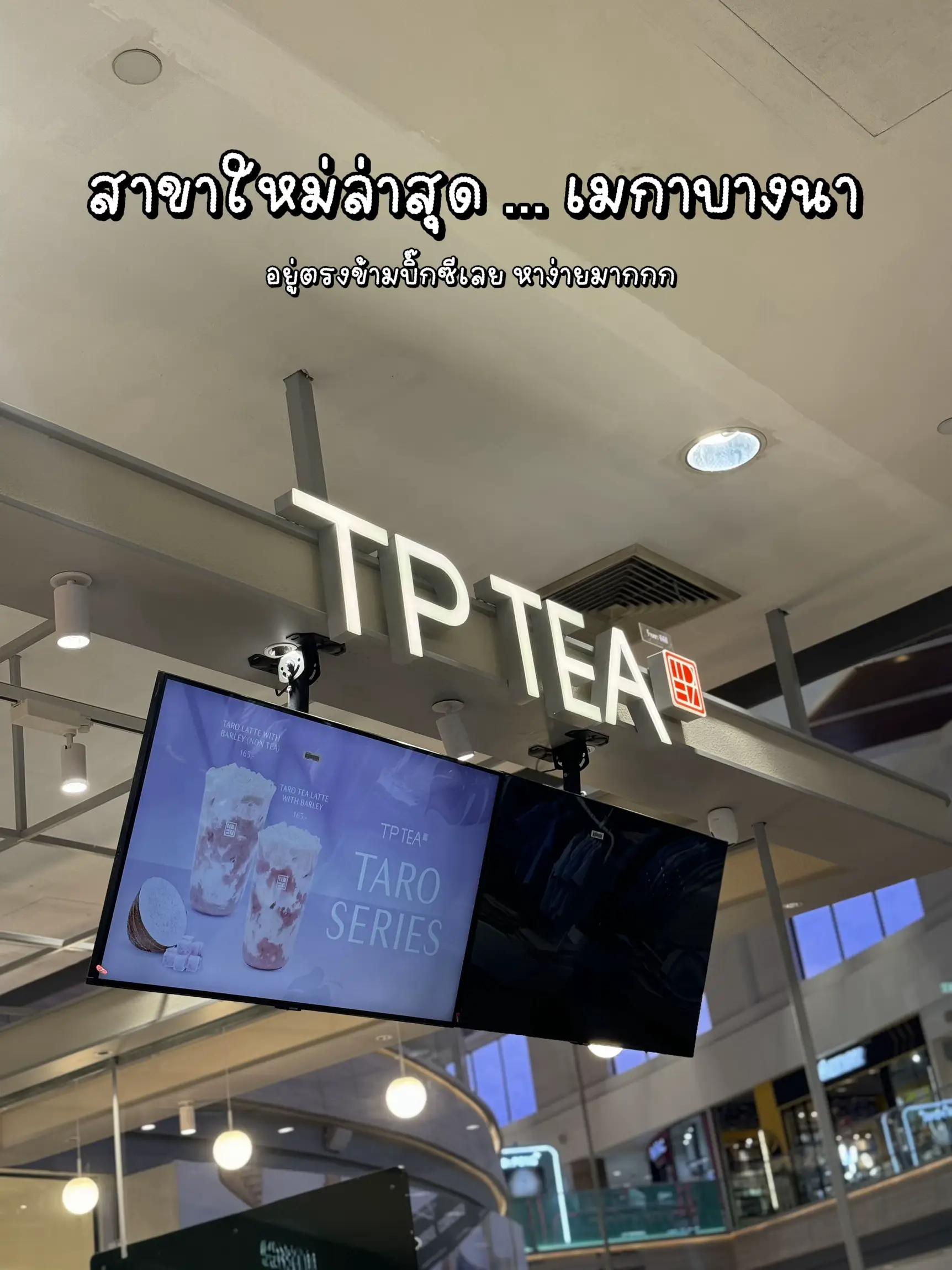 TP TEA ชานมไข่มุกเจ้าแรกของโลกกก จากไต้หวัน 🇹🇼 | แกลเลอรีที่โพสต์โดย ...