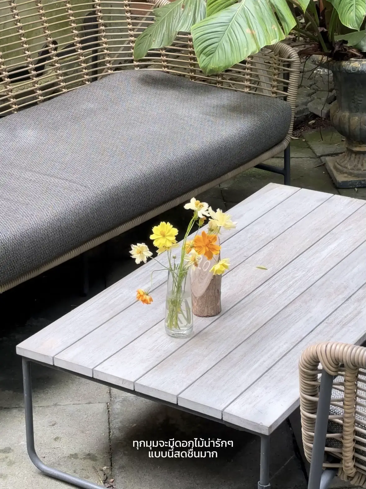 Little Tree Garden Café🌸🩷🎀 | แกลเลอรีที่โพสต์โดย NJ🌺🌷 | Lemon8