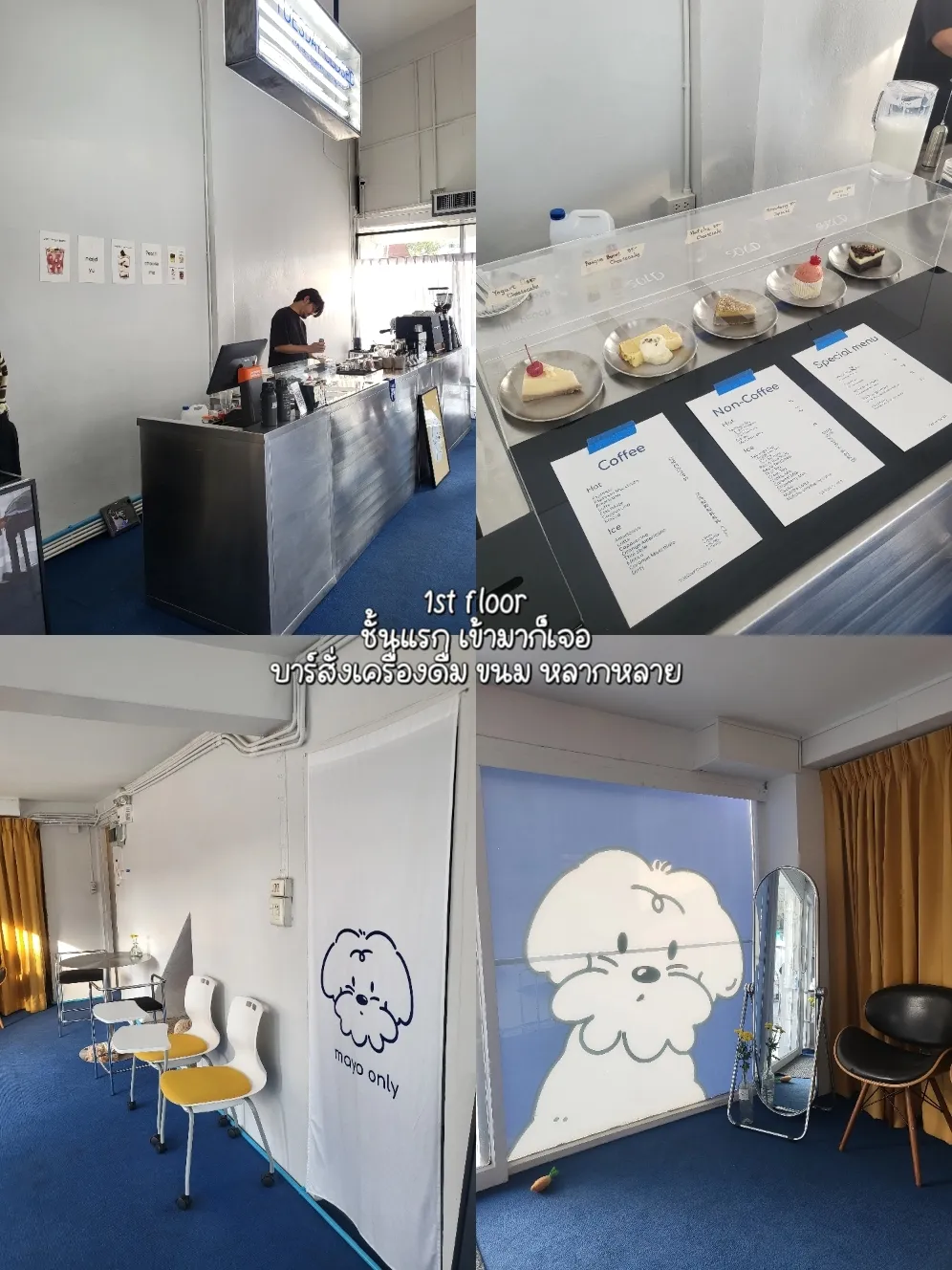 TUESDAY CLOSE CAFE กับ น้องมาโย🐶 📍เชียงใหม่ | แกลเลอรีที่โพสต์โดย ...