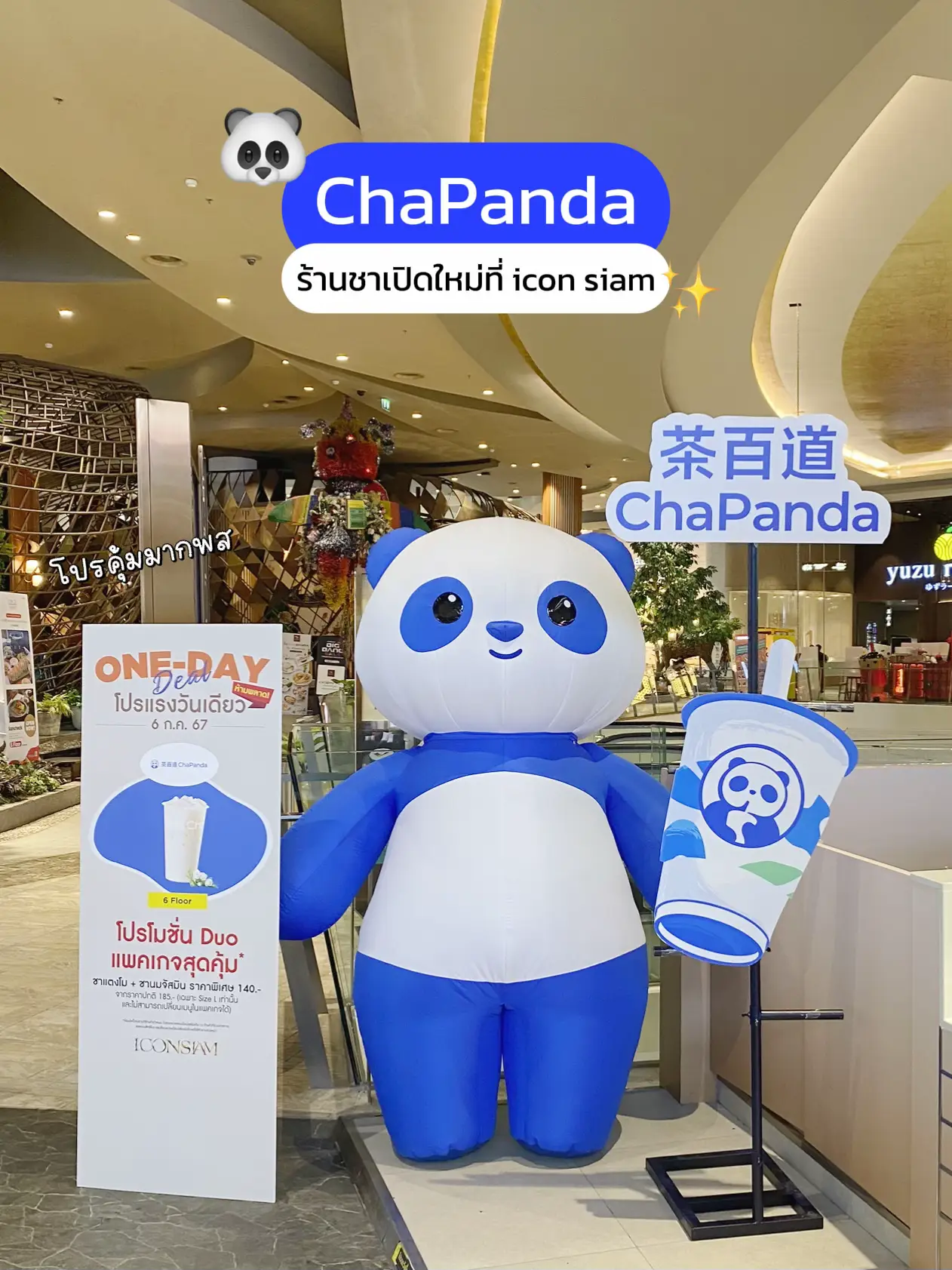 ChaPanda เปิดใหม่ที่ Icon Siam รสชาติเป็นไง🧋🔥 | แกลเลอรีที่โพสต์โดย bb ...
