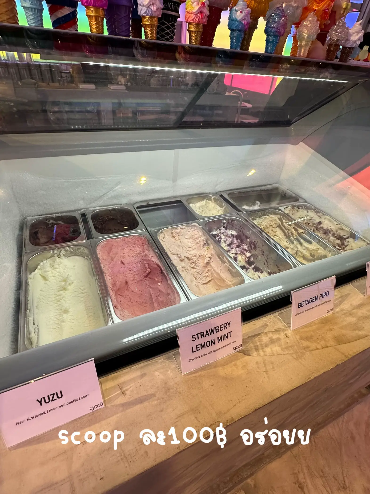 qool.bkk คาเฟ่เปิดใหม่ย่านห้วยขวางมีน้อง molly space เพียบ | แกลเลอรีที่โพสต์โดย tomo | Lemon8