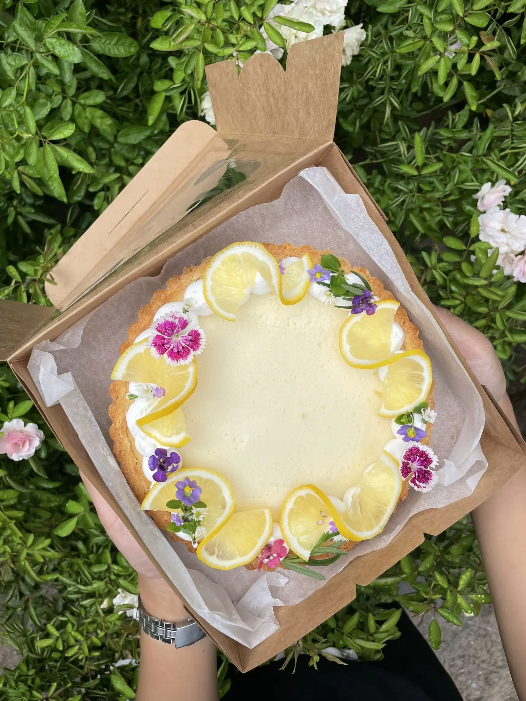 Lemon Squeezy🍋 แกลเลอรีที่โพสต์โดย Dandycharlotte Lemon8
