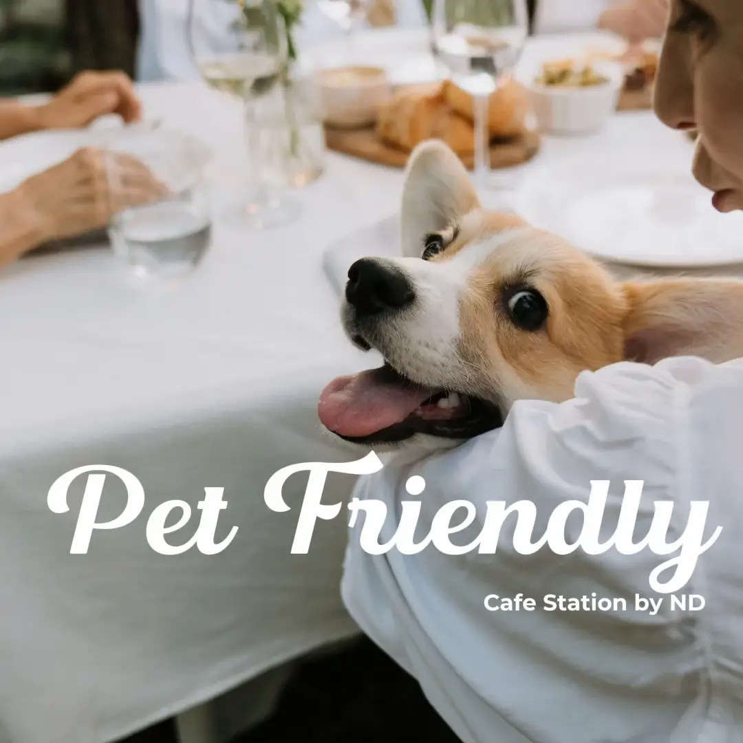 Pet Friendly | แกลเลอรีที่โพสต์โดย 𝓶 ˚ | Lemon8